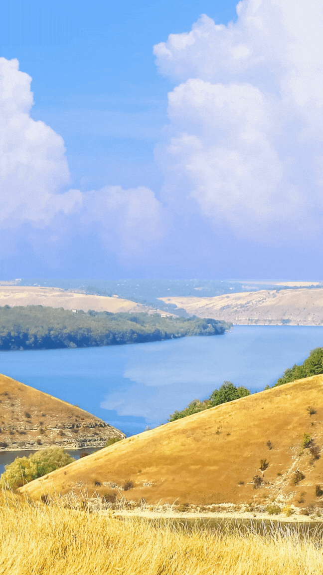 The Art of Cinemagraphs: Bringing Still Photos to Life (A Step-by-Step ...