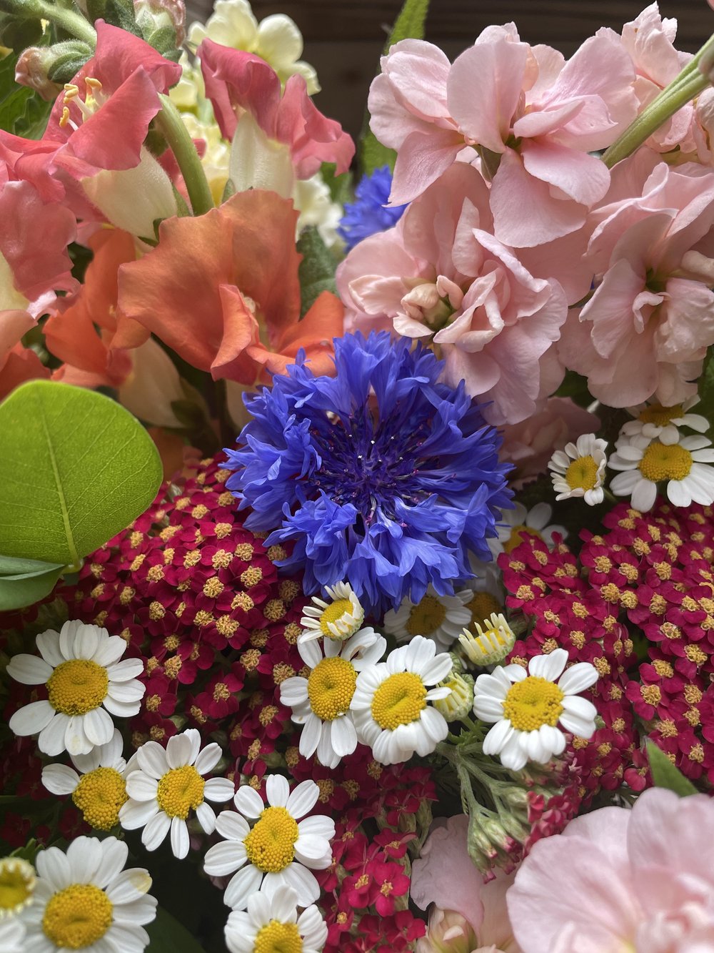 Old Time Flowers