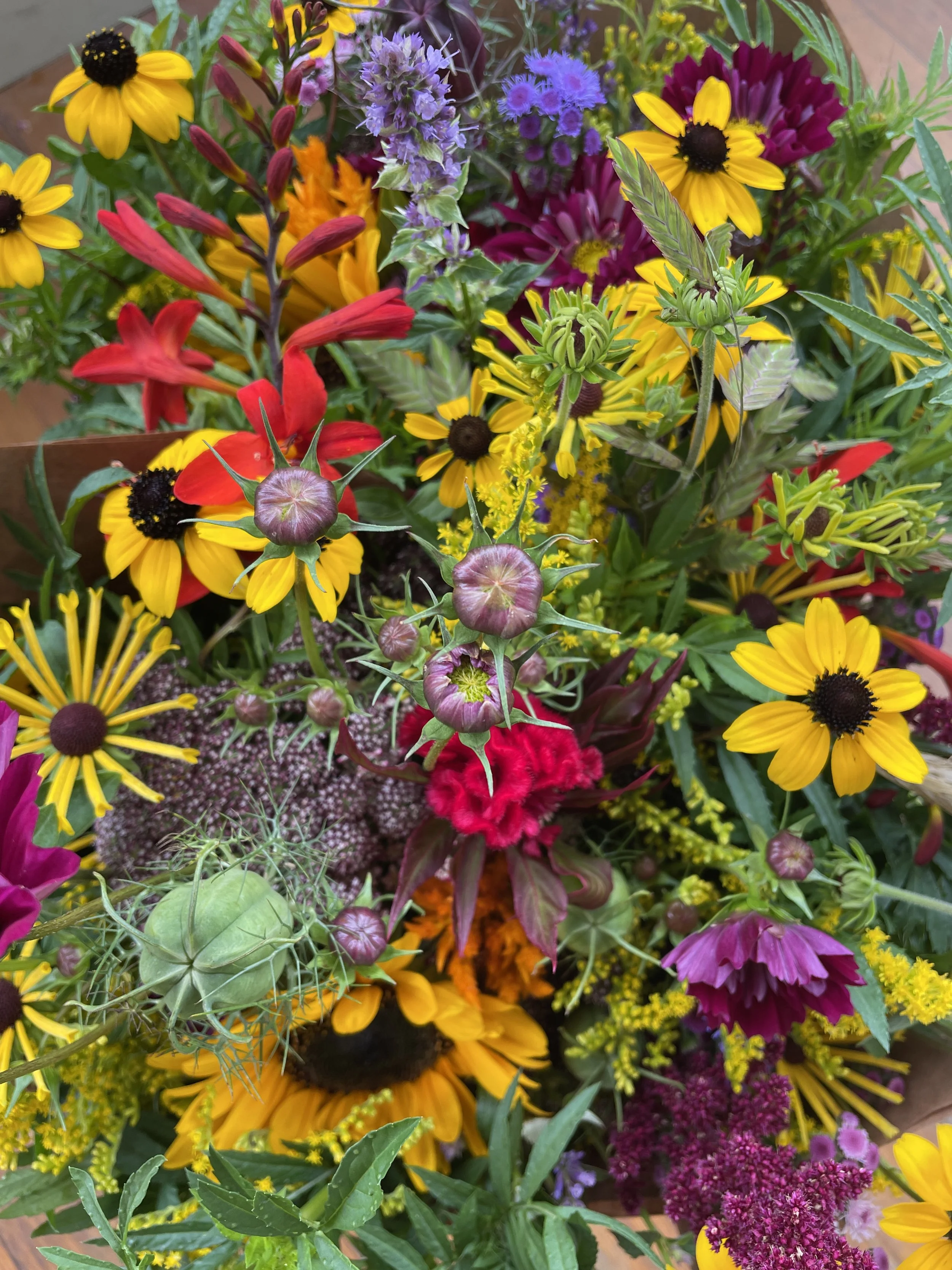 Old Time Flowers