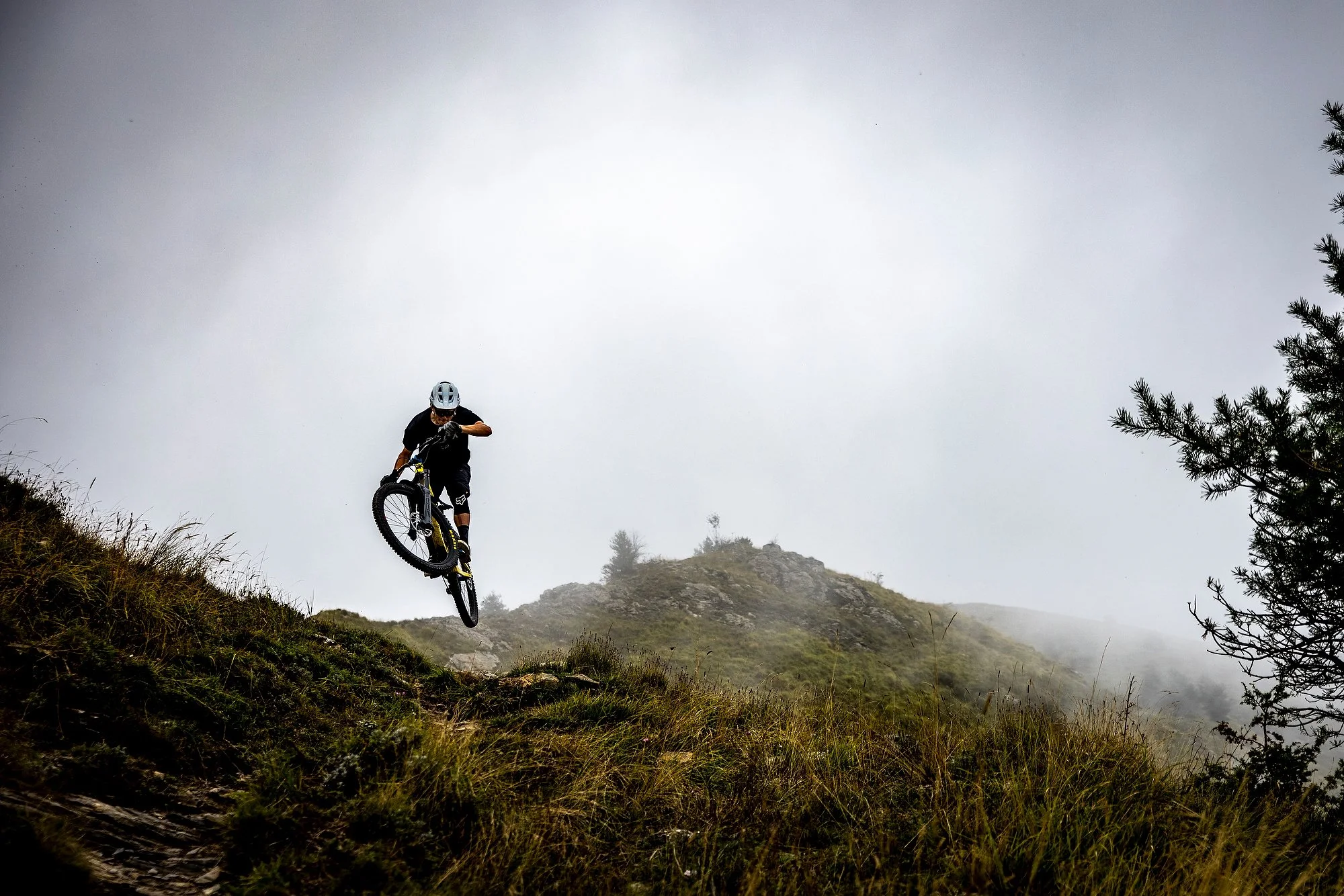 Trips & Shuttle — Molini MTB