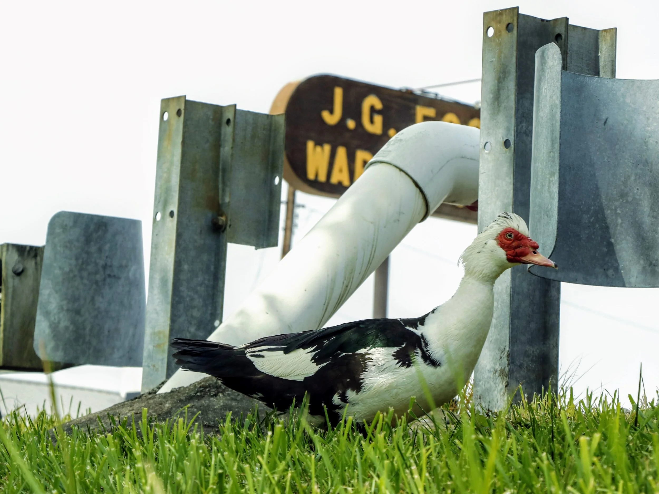 PENNSYLVANIA — Lisa Carl: ReCovering America