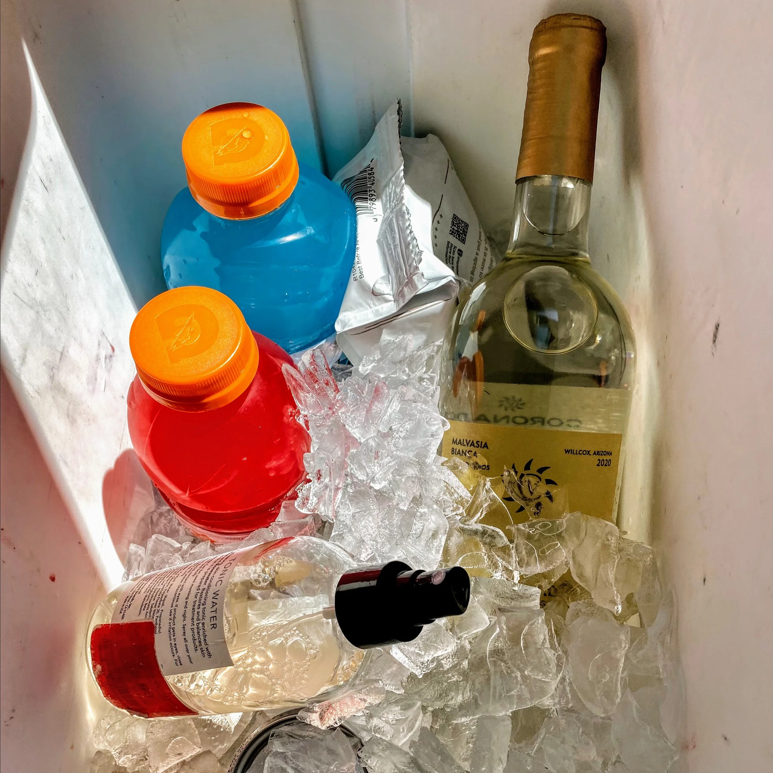 On Freeway Driving — Lisa Carl: ReCovering America