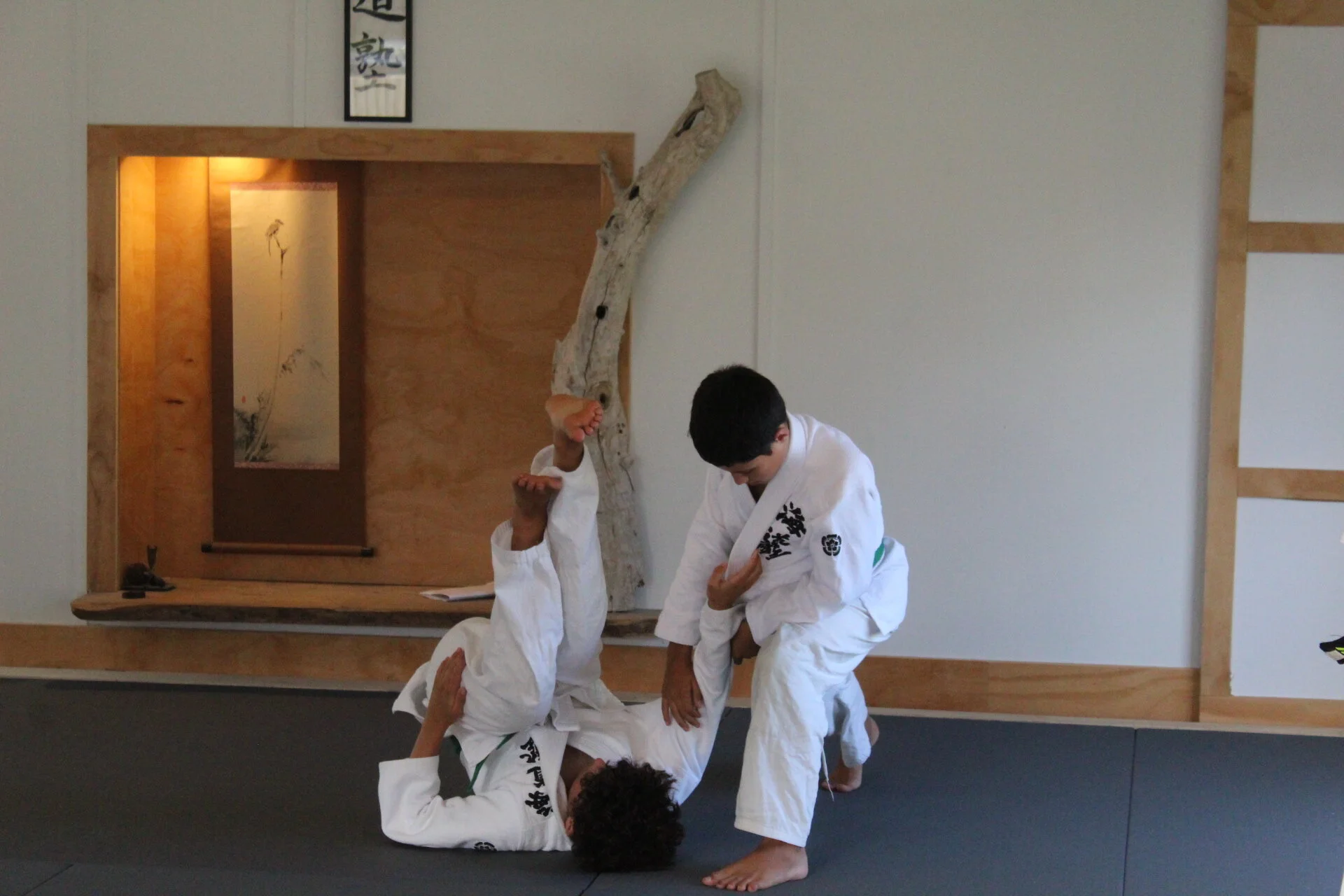 Auckland Judo Association