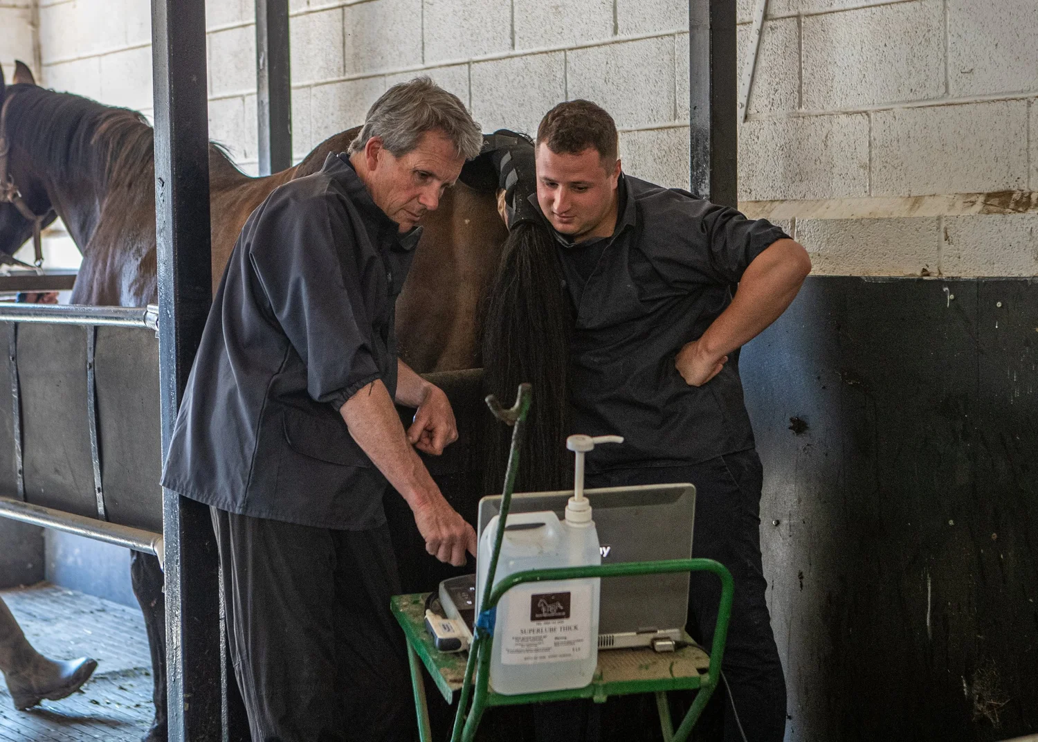 Stud Farm — Brackenspa Stud
