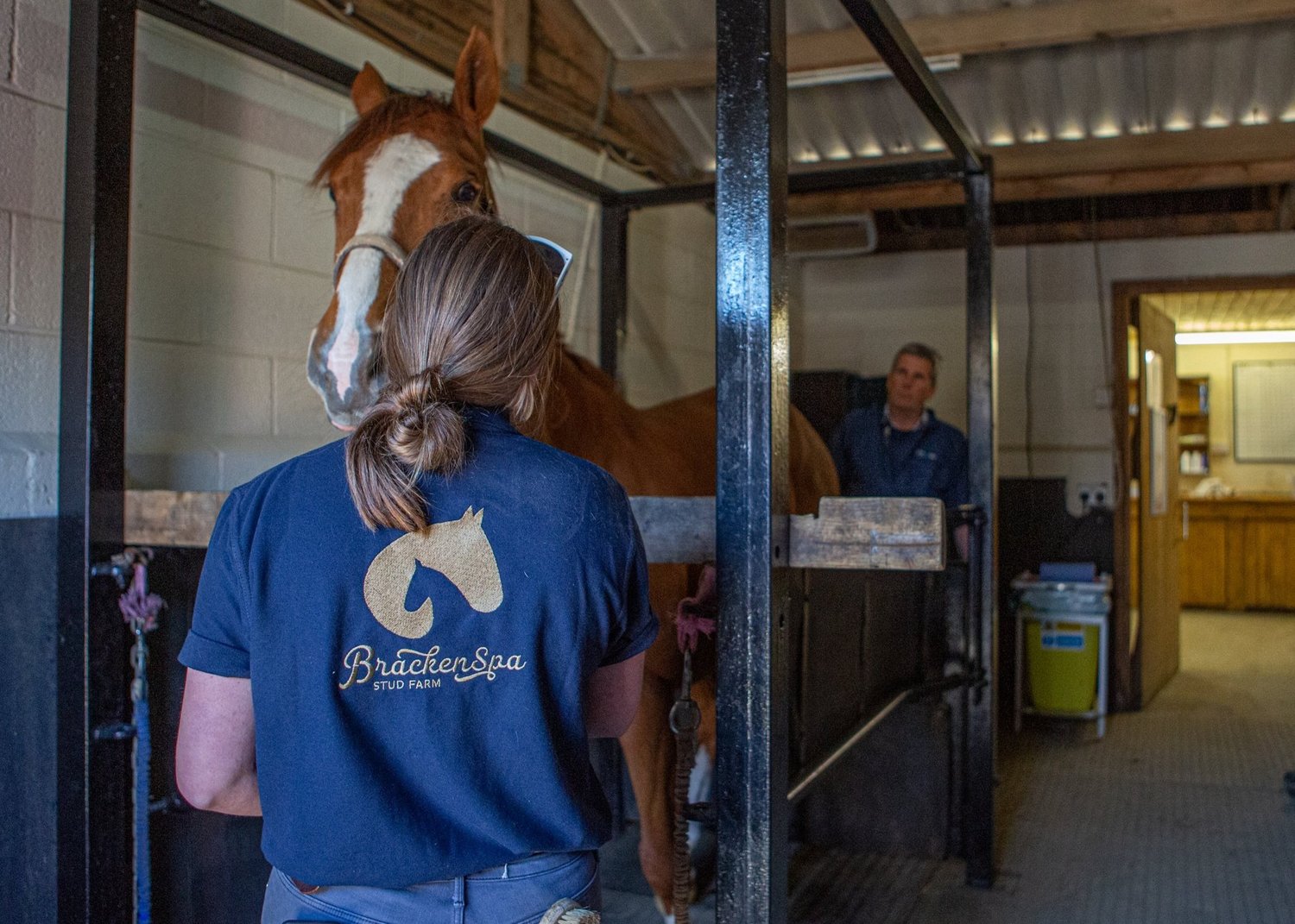 Stud Farm — Brackenspa Stud