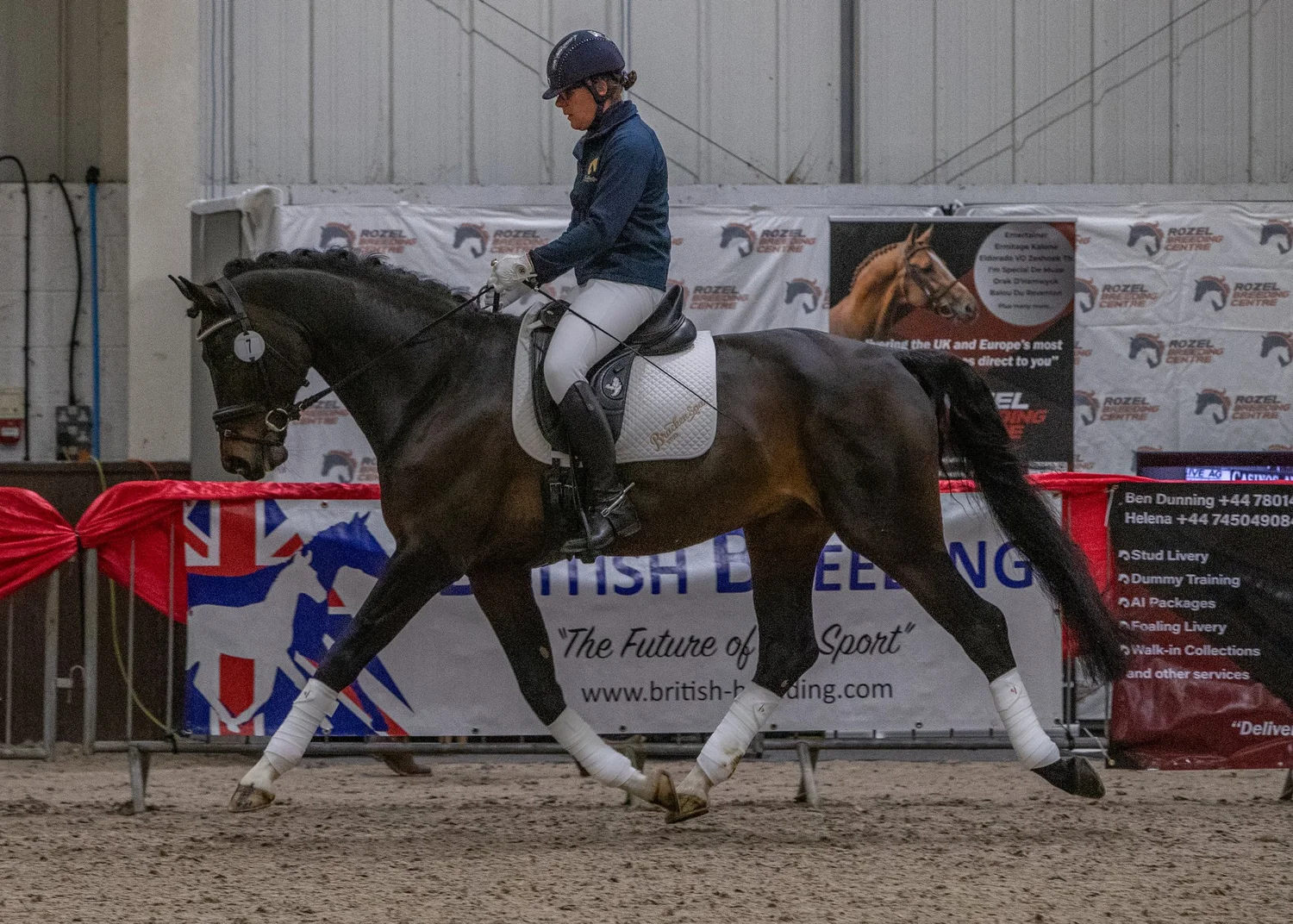 Services 1 — Brackenspa Stud