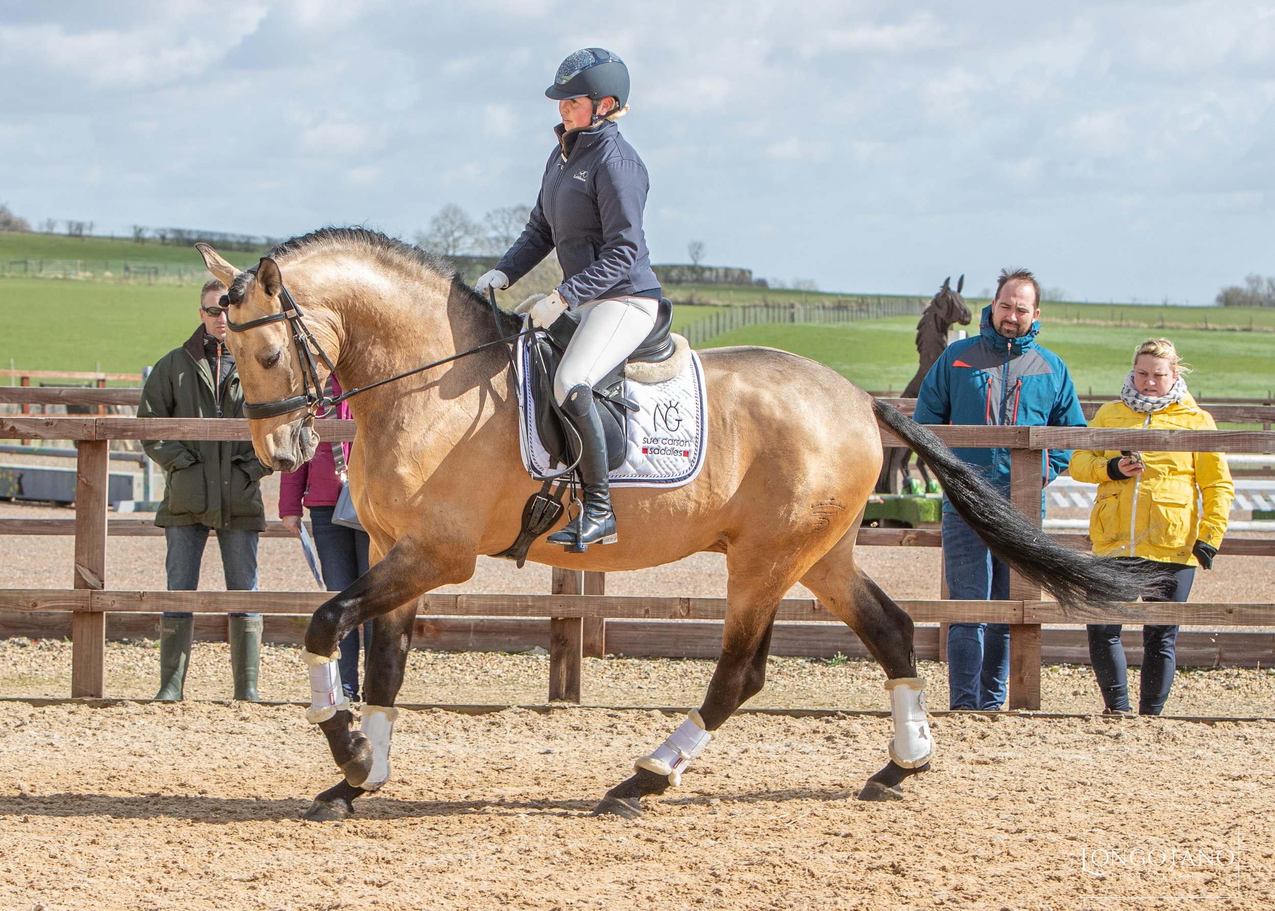 Services 1 — Brackenspa Stud