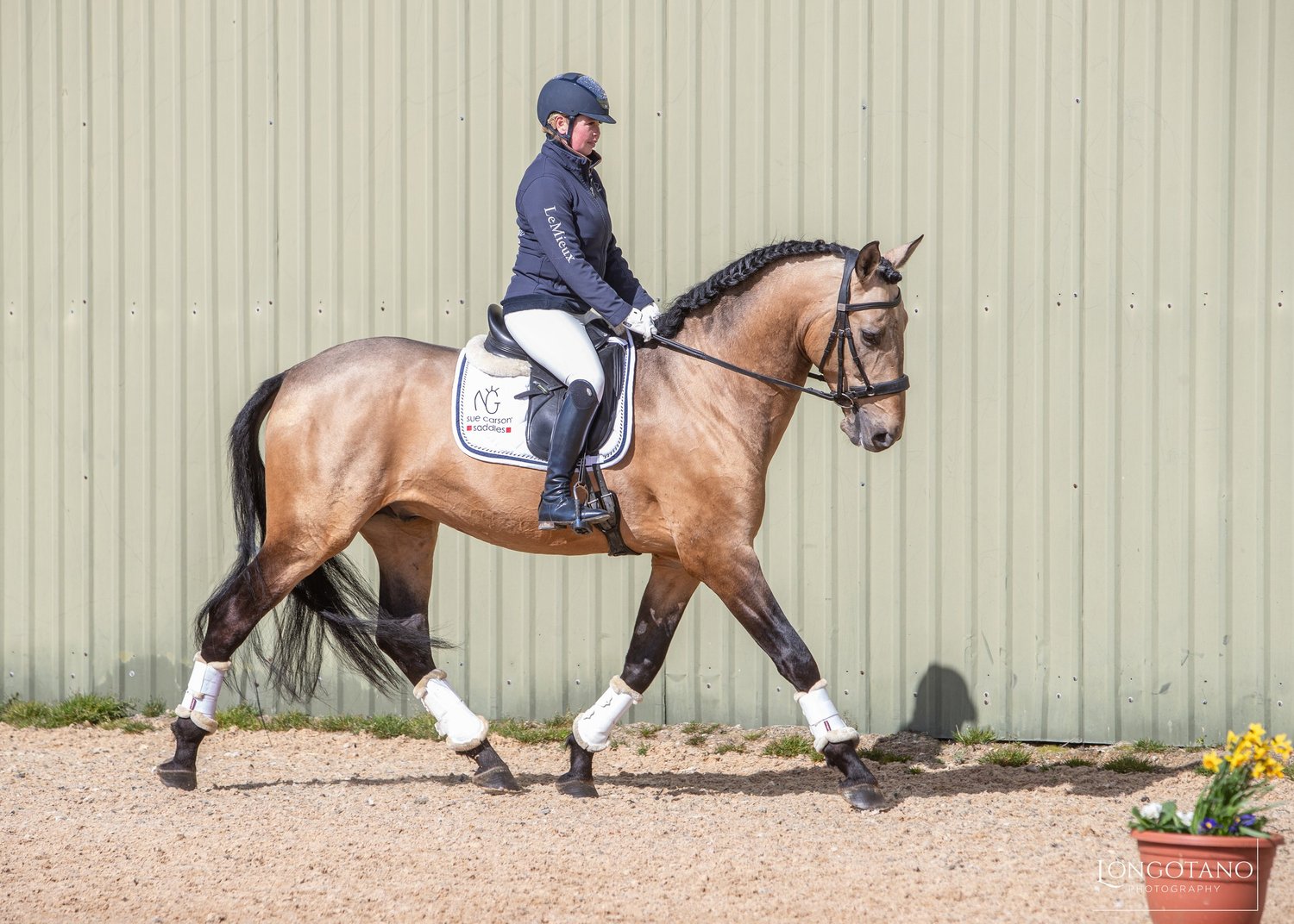 Services 1 — Brackenspa Stud