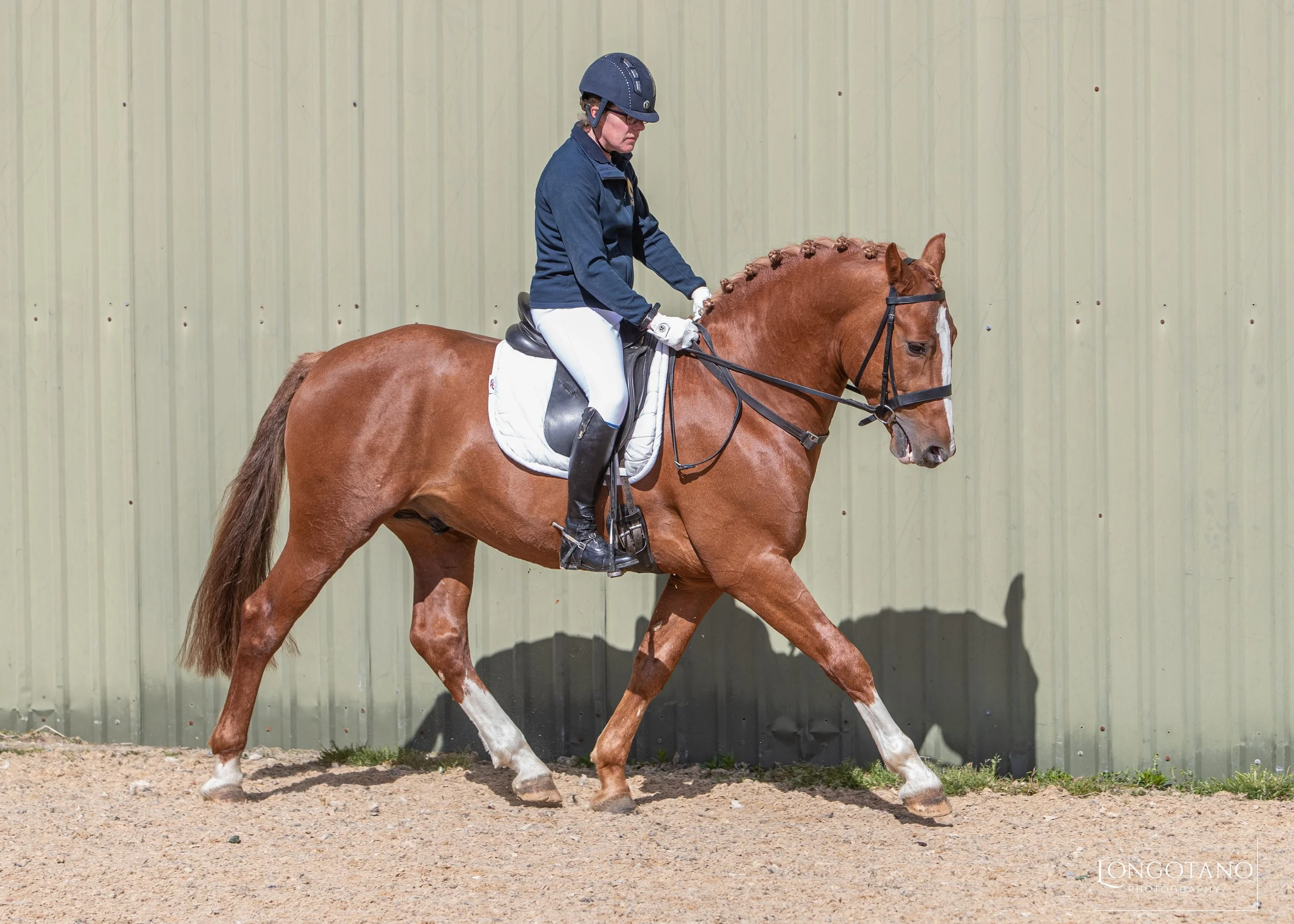 Services 1 — Brackenspa Stud