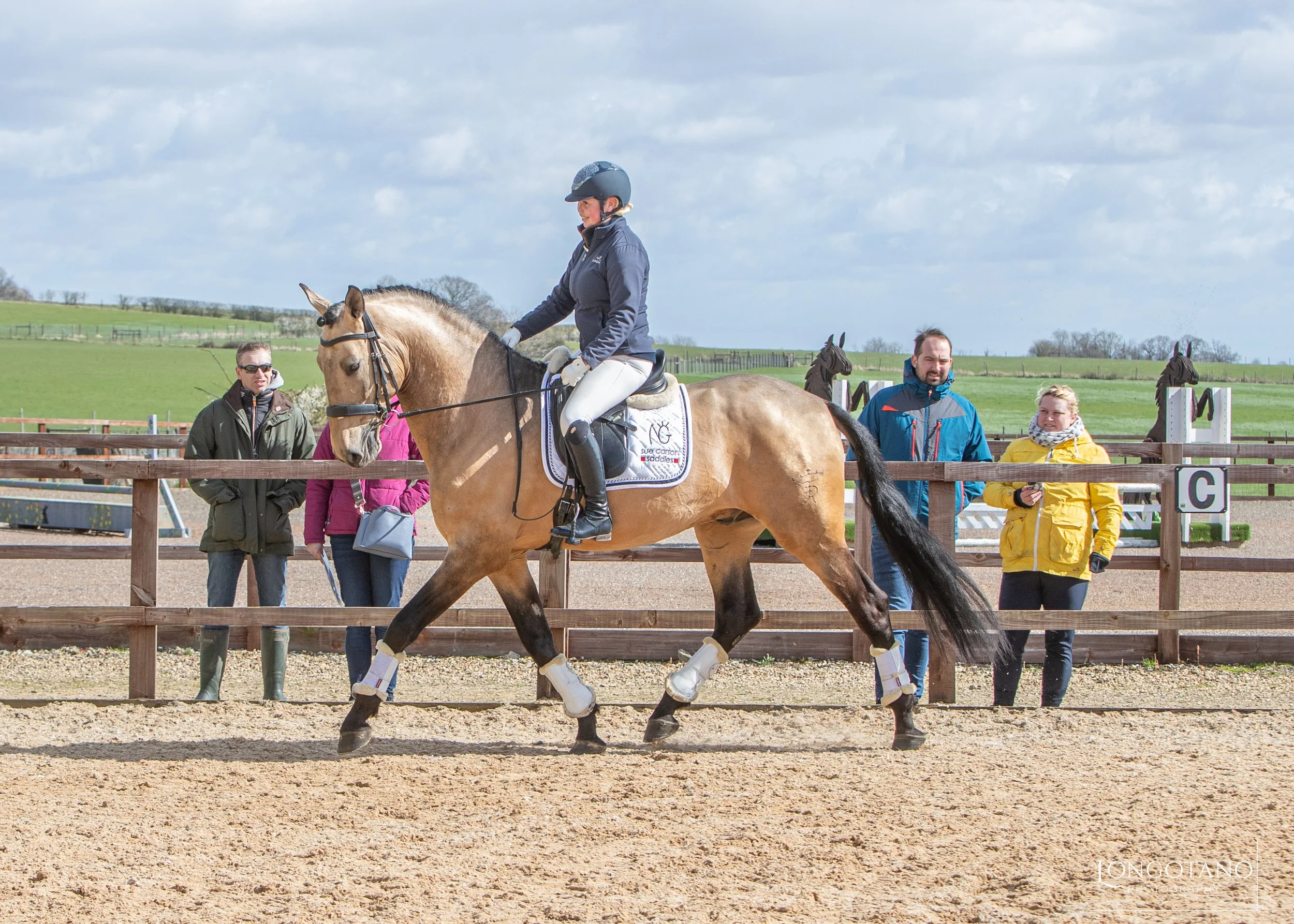 Services 1 — Brackenspa Stud