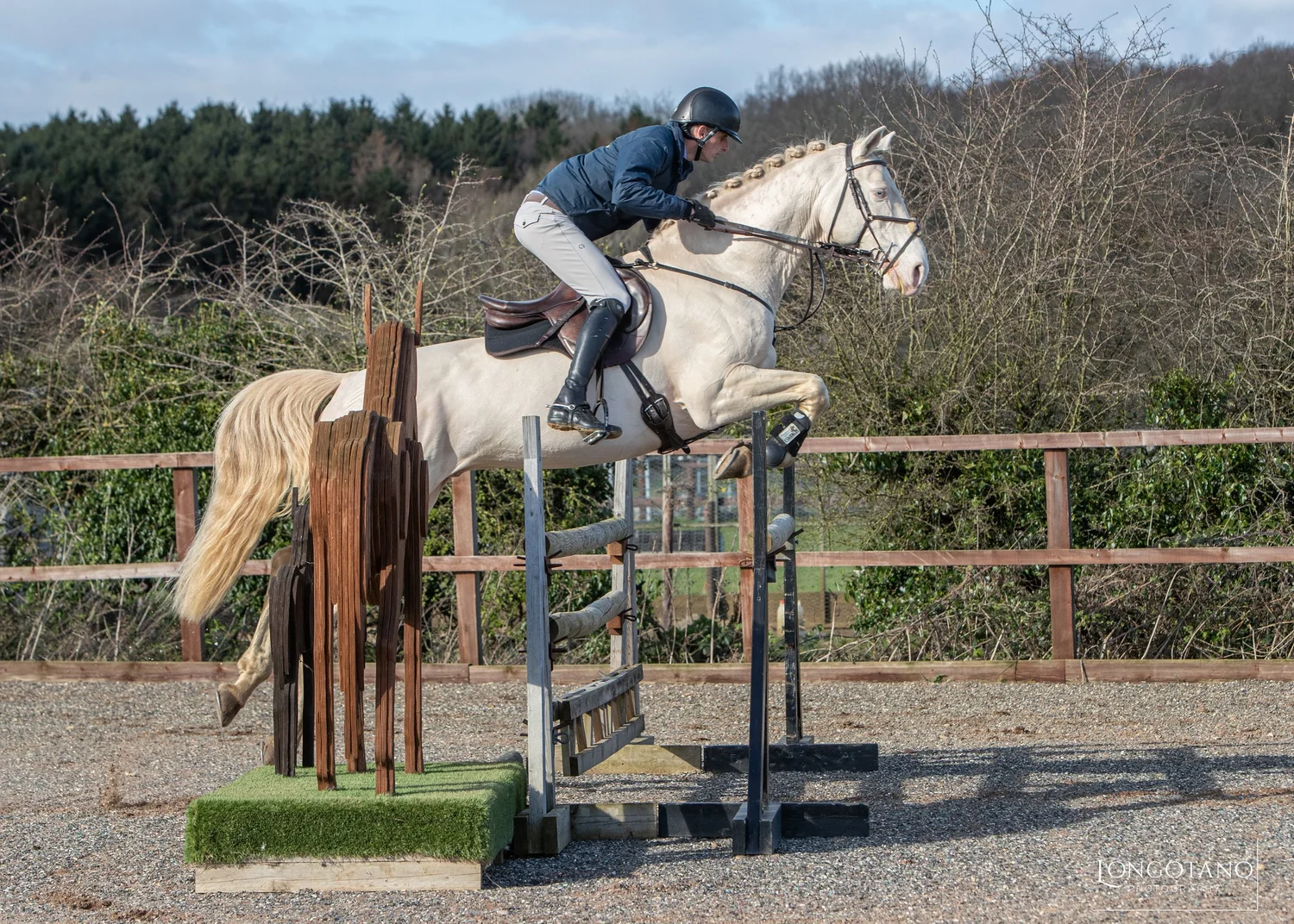 Services 1 — Brackenspa Stud