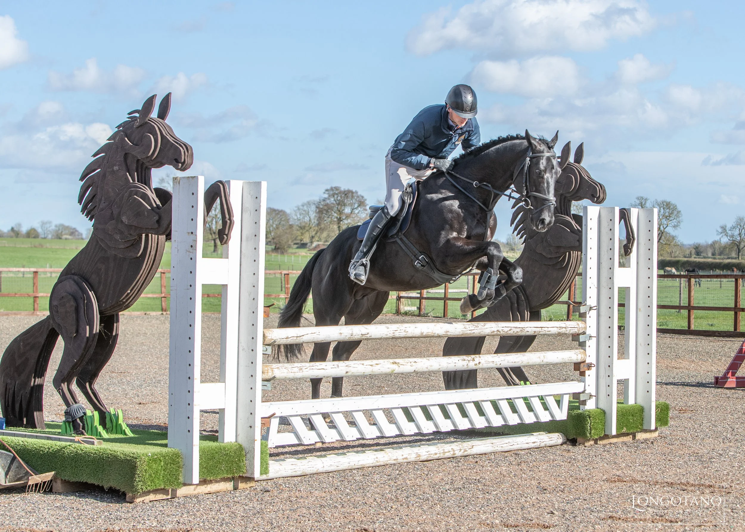 Services 1 — Brackenspa Stud