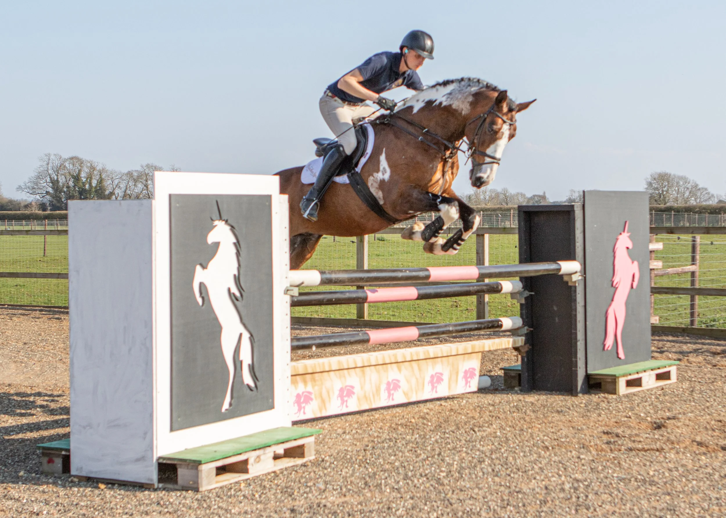 Services 1 — Brackenspa Stud