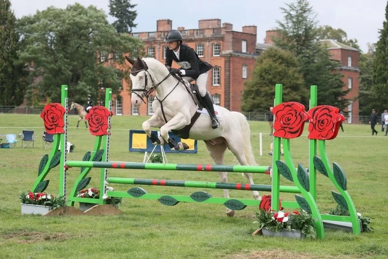 Services 1 — Brackenspa Stud