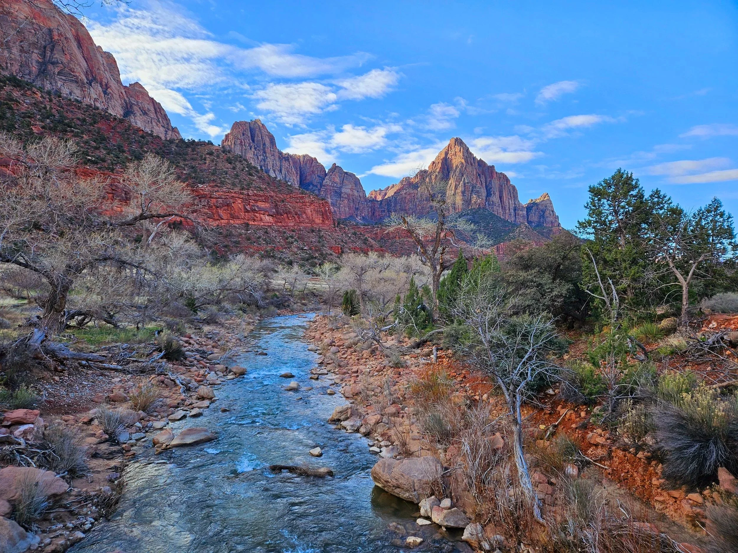 Zion National Park Shuttle Guide (2026): How It Works, Schedule & Tips ...