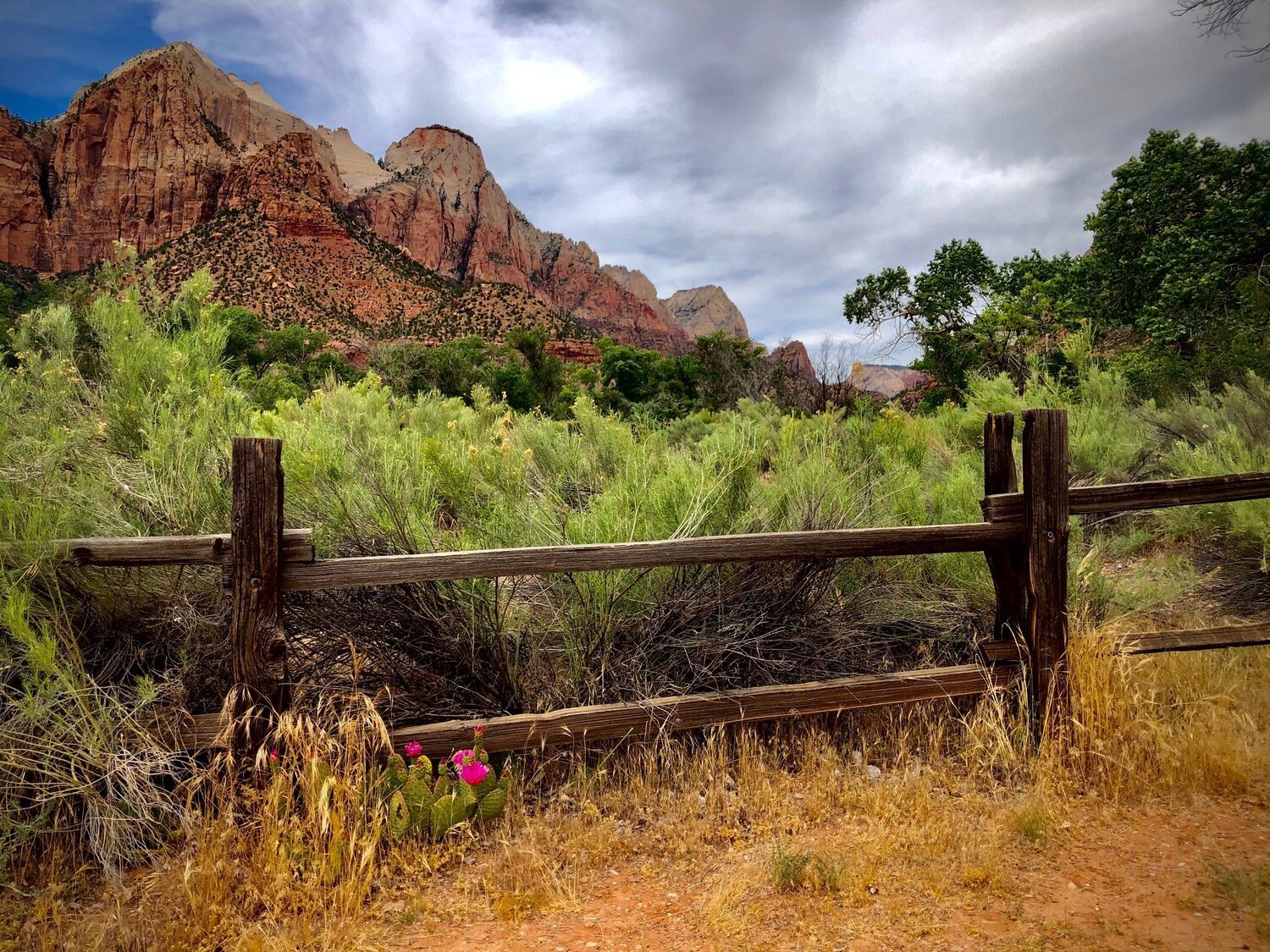 Zion National Park Shuttle Guide (2026): How It Works, Schedule & Tips ...