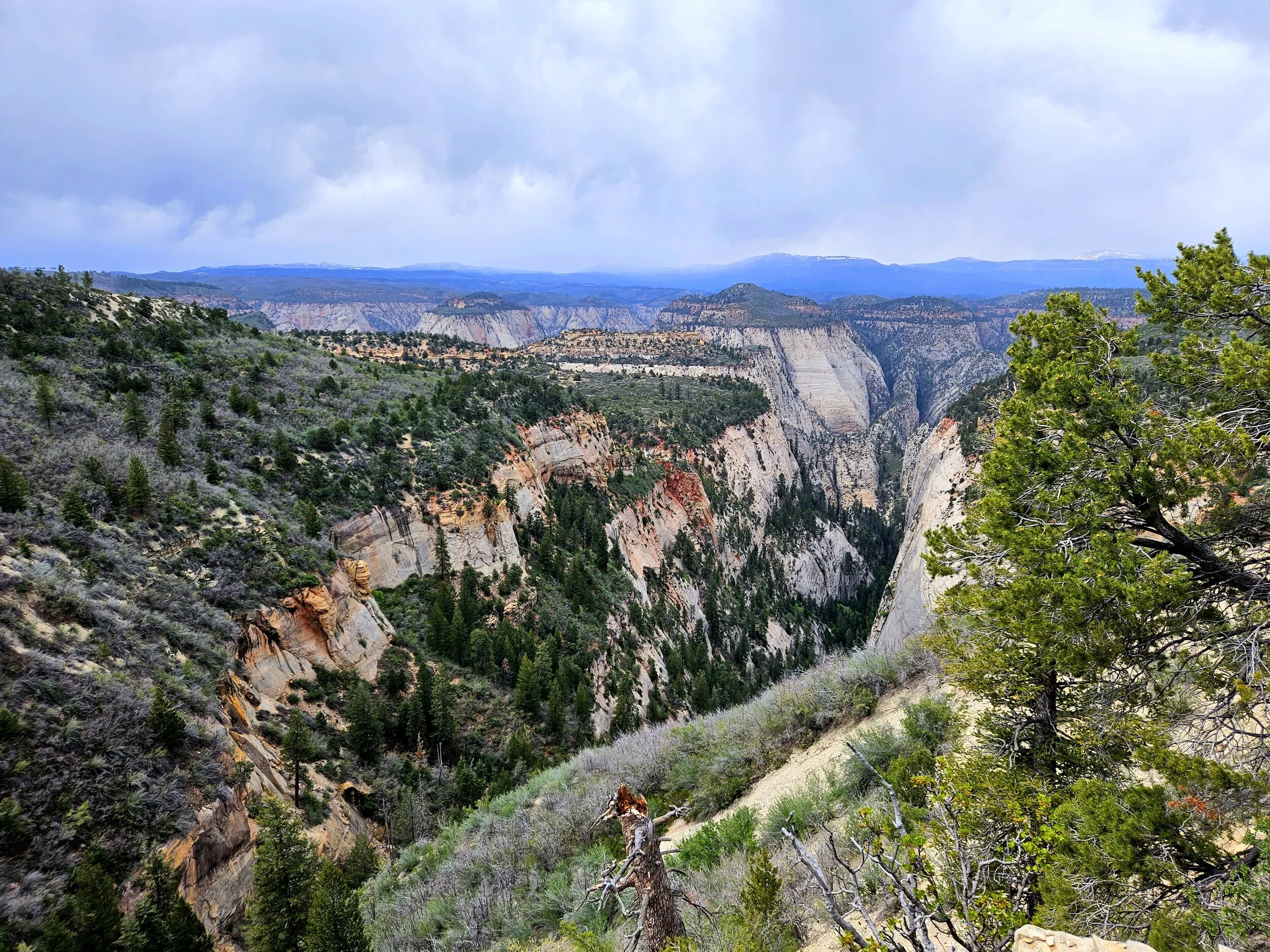 Open Sky Zion: A Unique Luxury Glamping Experience Near Zion National ...