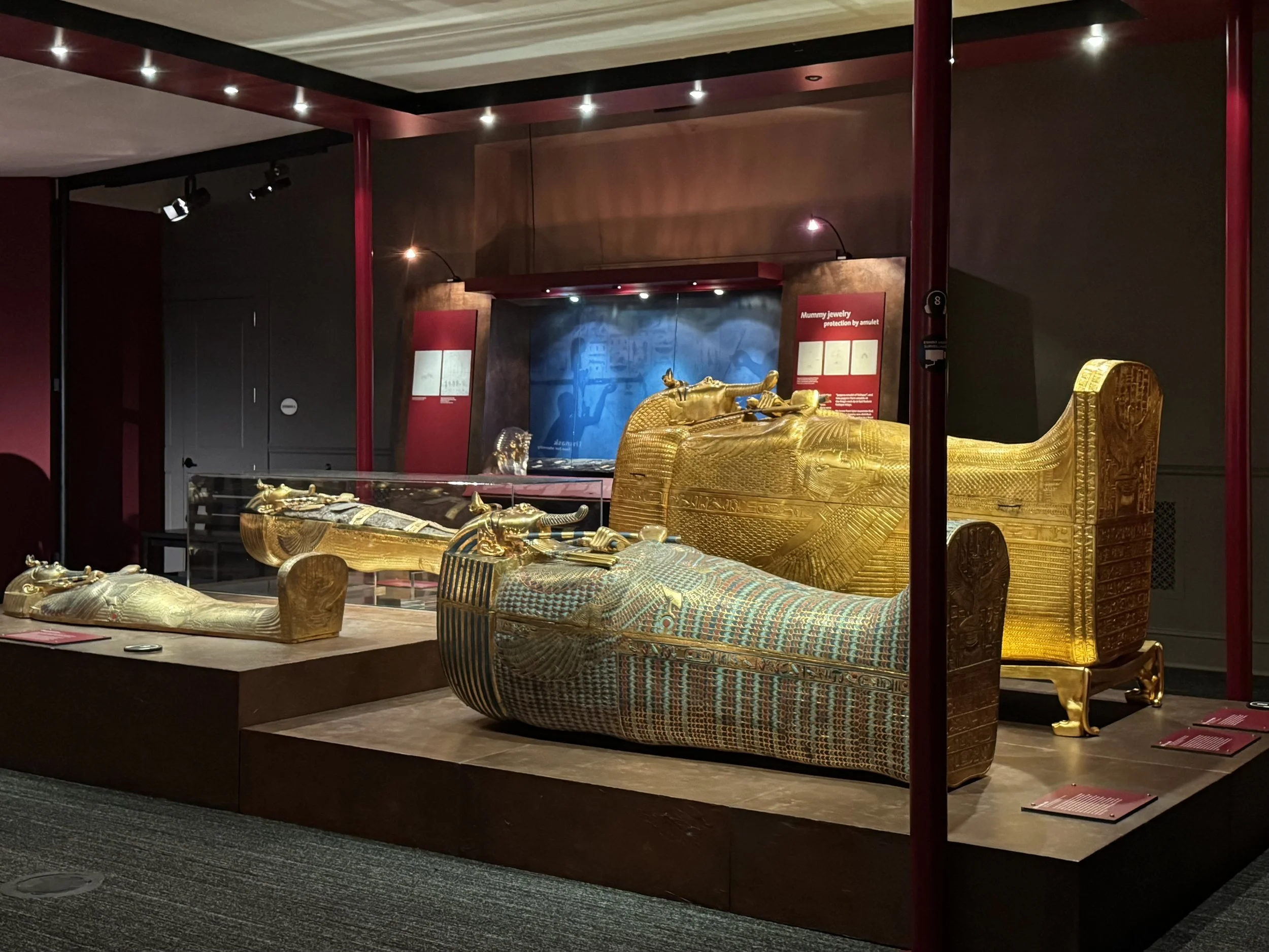 King Tut Exhibit at Biltmore Estate: What to Expect & Tips for Visiting ...