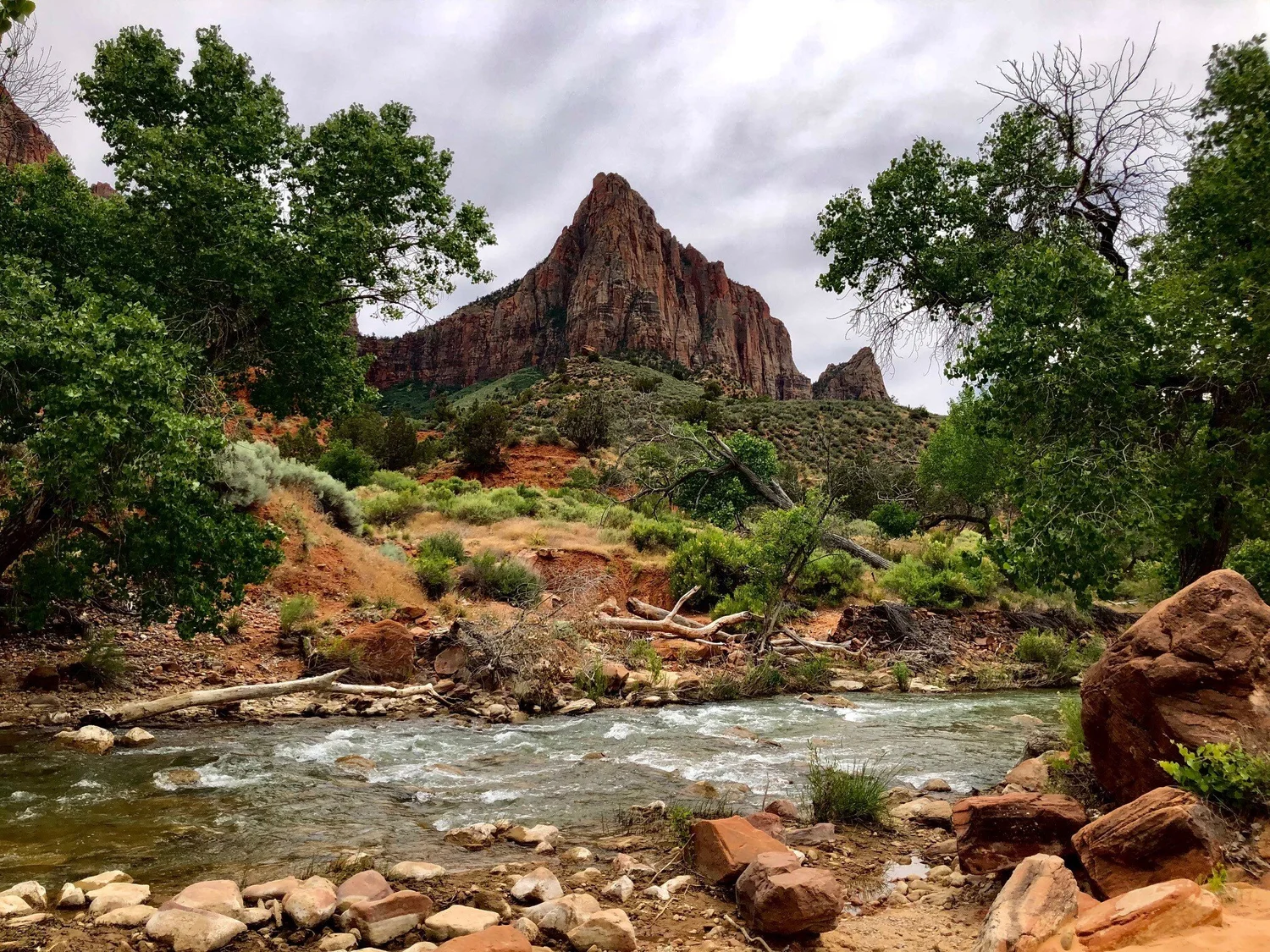 How Climate Change Is Endangering Zion National Park — Jen33Travel