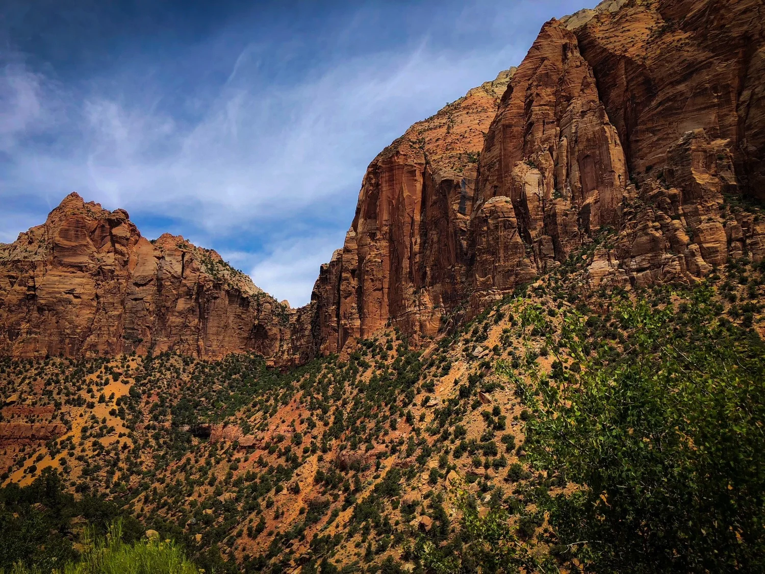 Zion National Park Shuttle Guide (2026): How It Works, Schedule & Tips ...