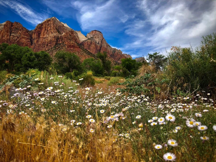 Zion National Park Shuttle System — Jen33Travel