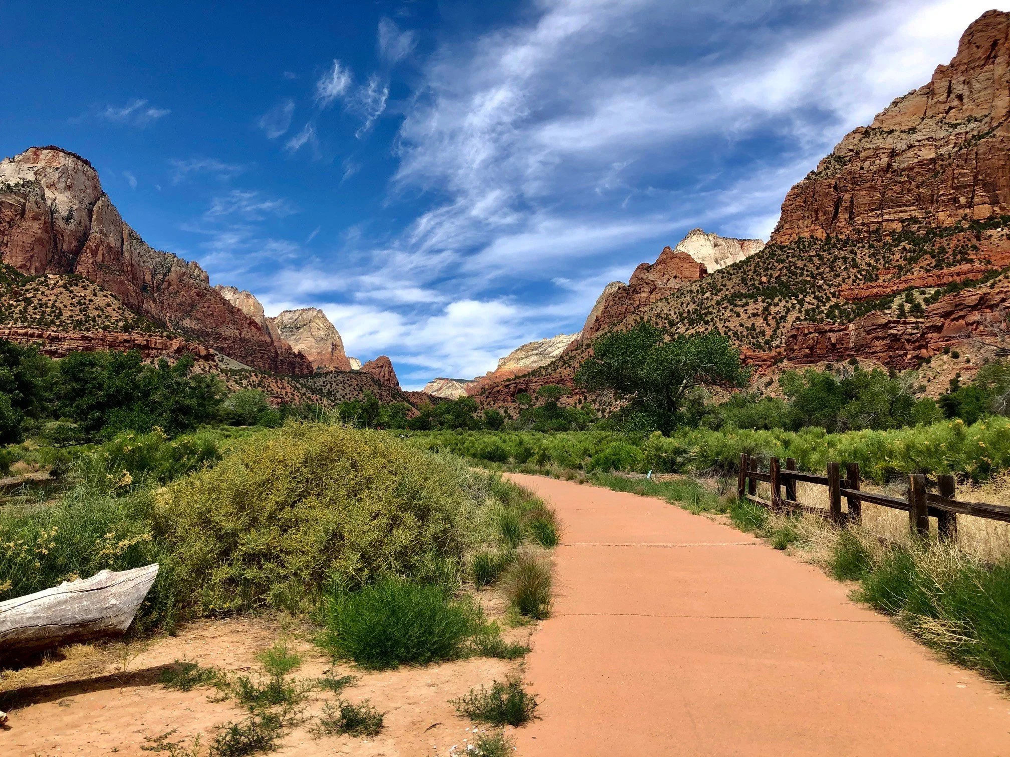 Zion National Park Shuttle Guide (2026): How It Works, Schedule & Tips ...