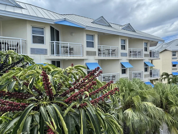 Hyatt Centric Key West Review: Location, Rooms & What to Know — Jen33Travel