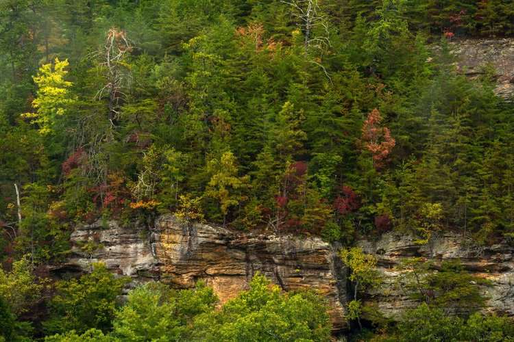 A Long Weekend in Kentucky’s Red River Gorge — Jen33Travel