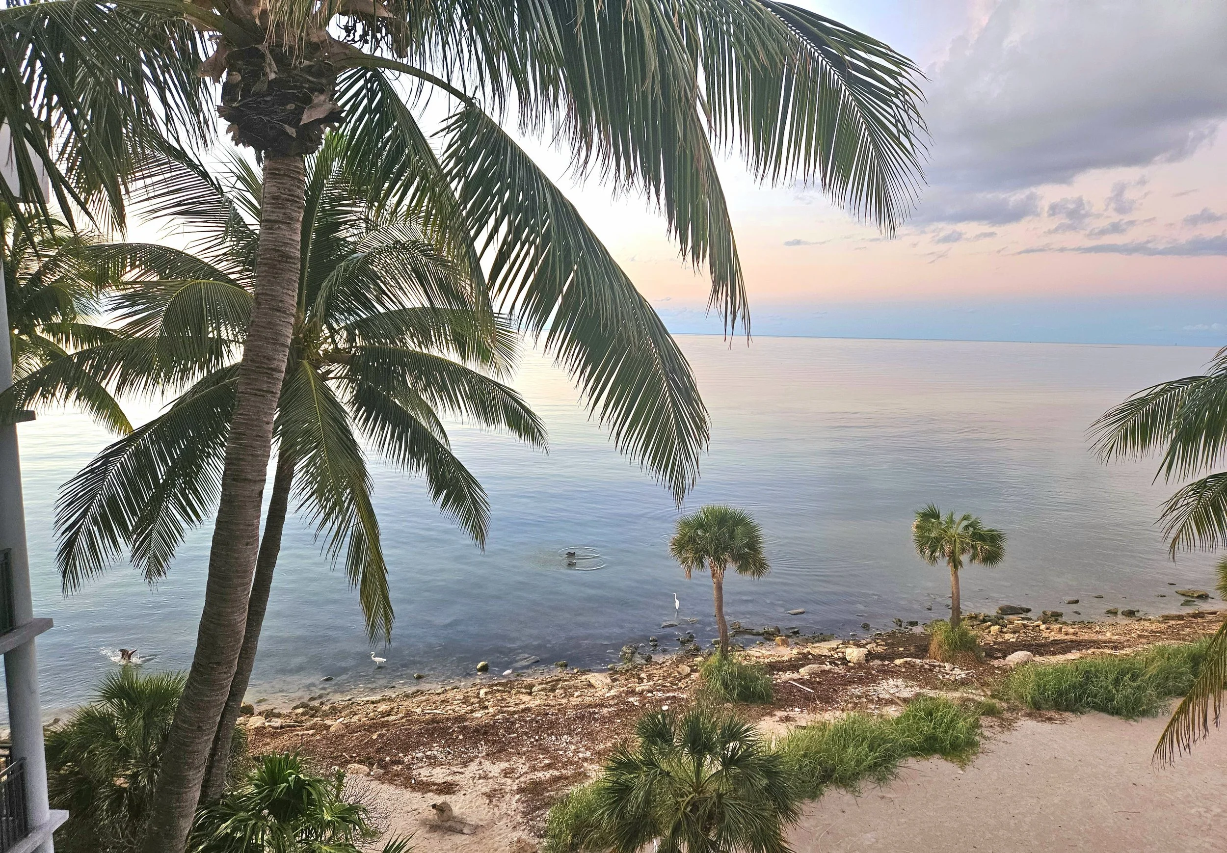 Key West Travel Guide: Best Things to Do, Eat & See — Jen33Travel