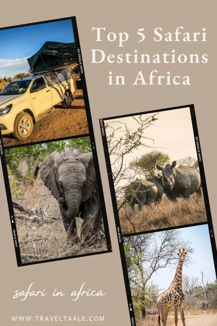 Top 5 safari destinations in Africa