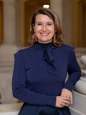 Demystifying the Appropriations Process: A Practical Guide for Junior ...