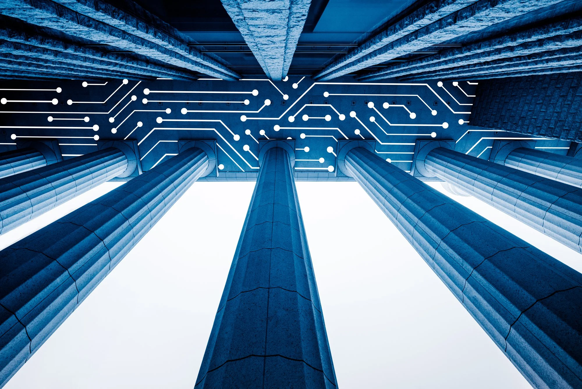 First Branch Technology, Science, and Data Project — POPVOX Foundation