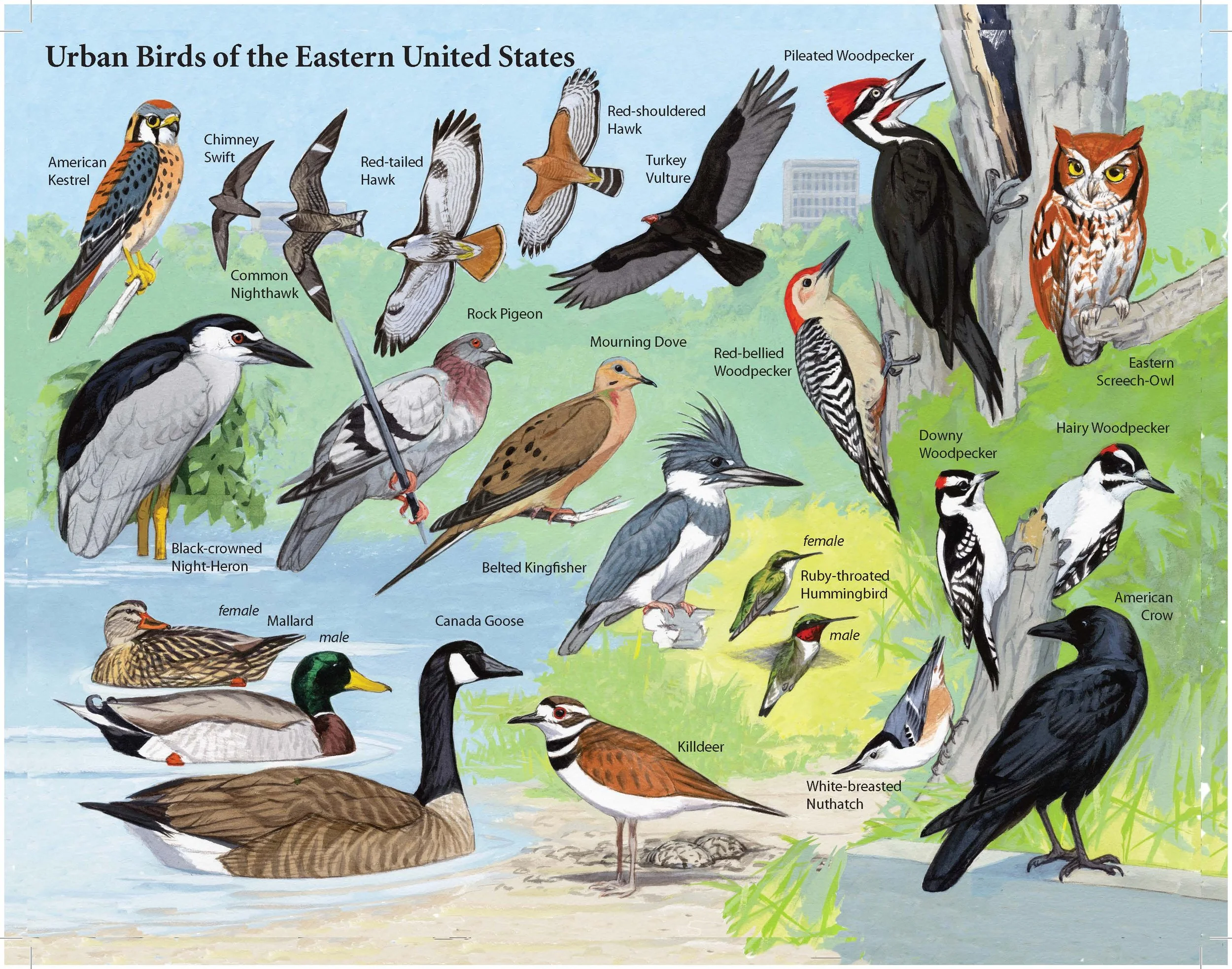 Smithsonian x BAFiS — Black AF In STEM