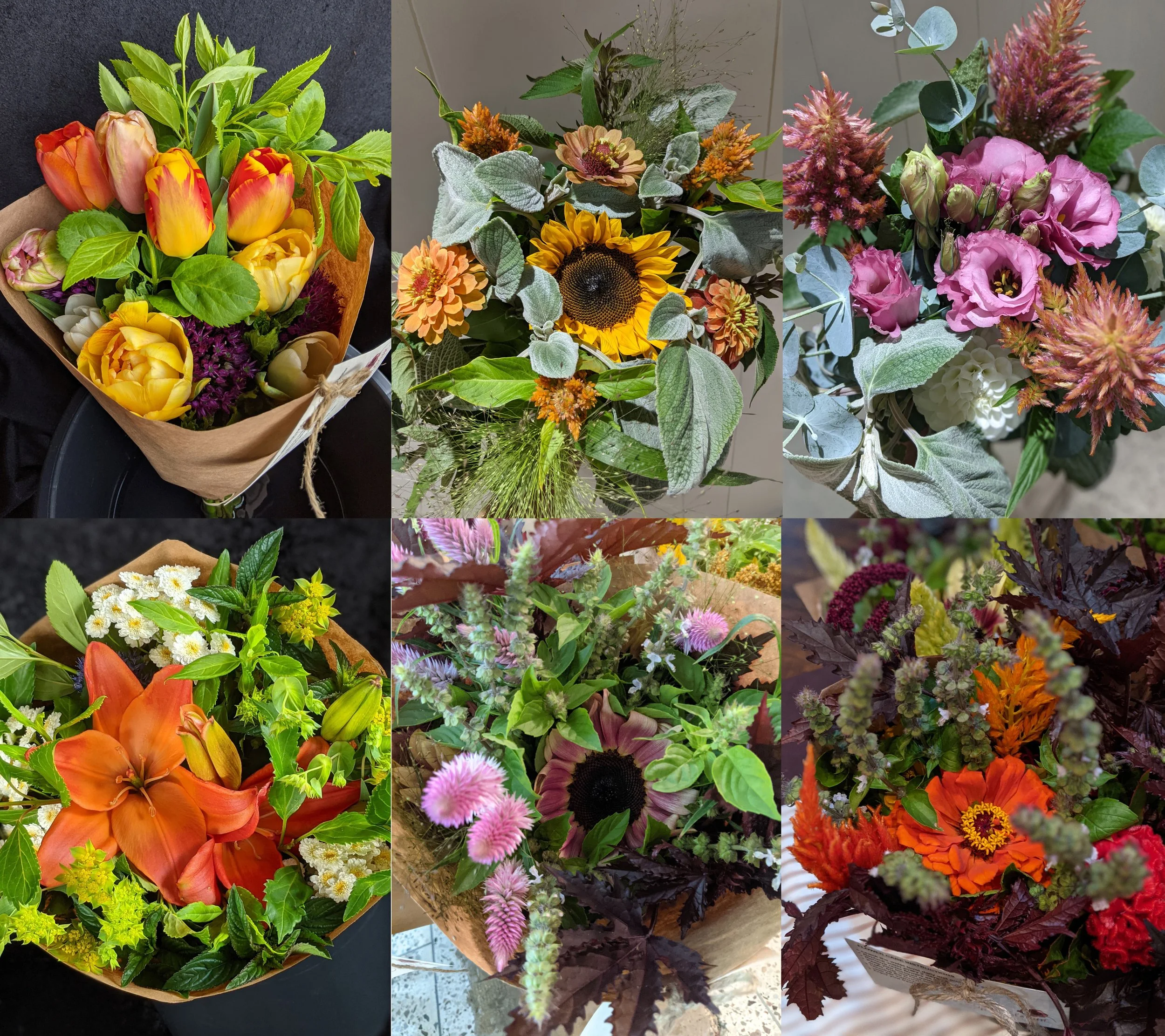 General 2 — In Bloom