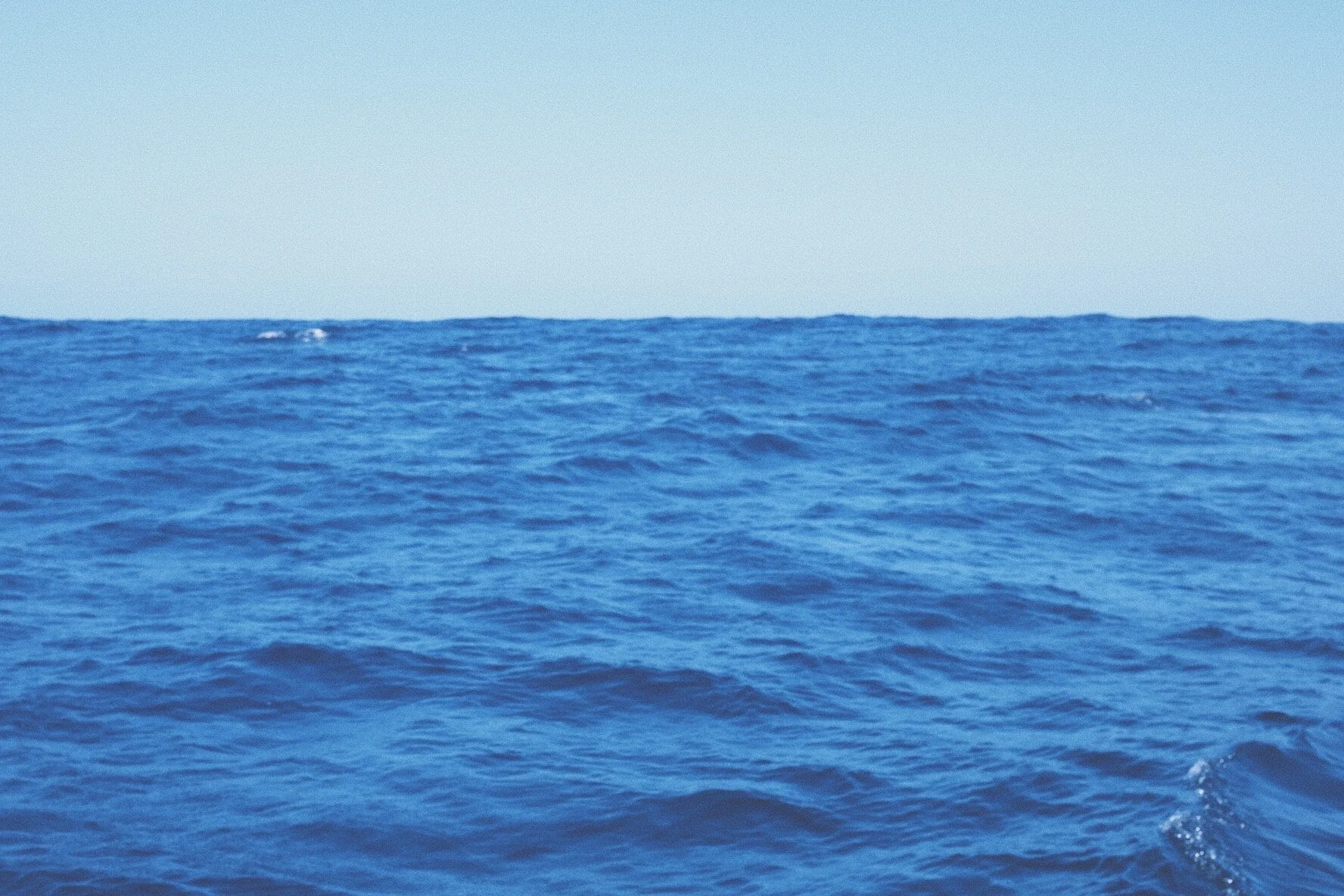 Women & the Wind | A Sailing Project