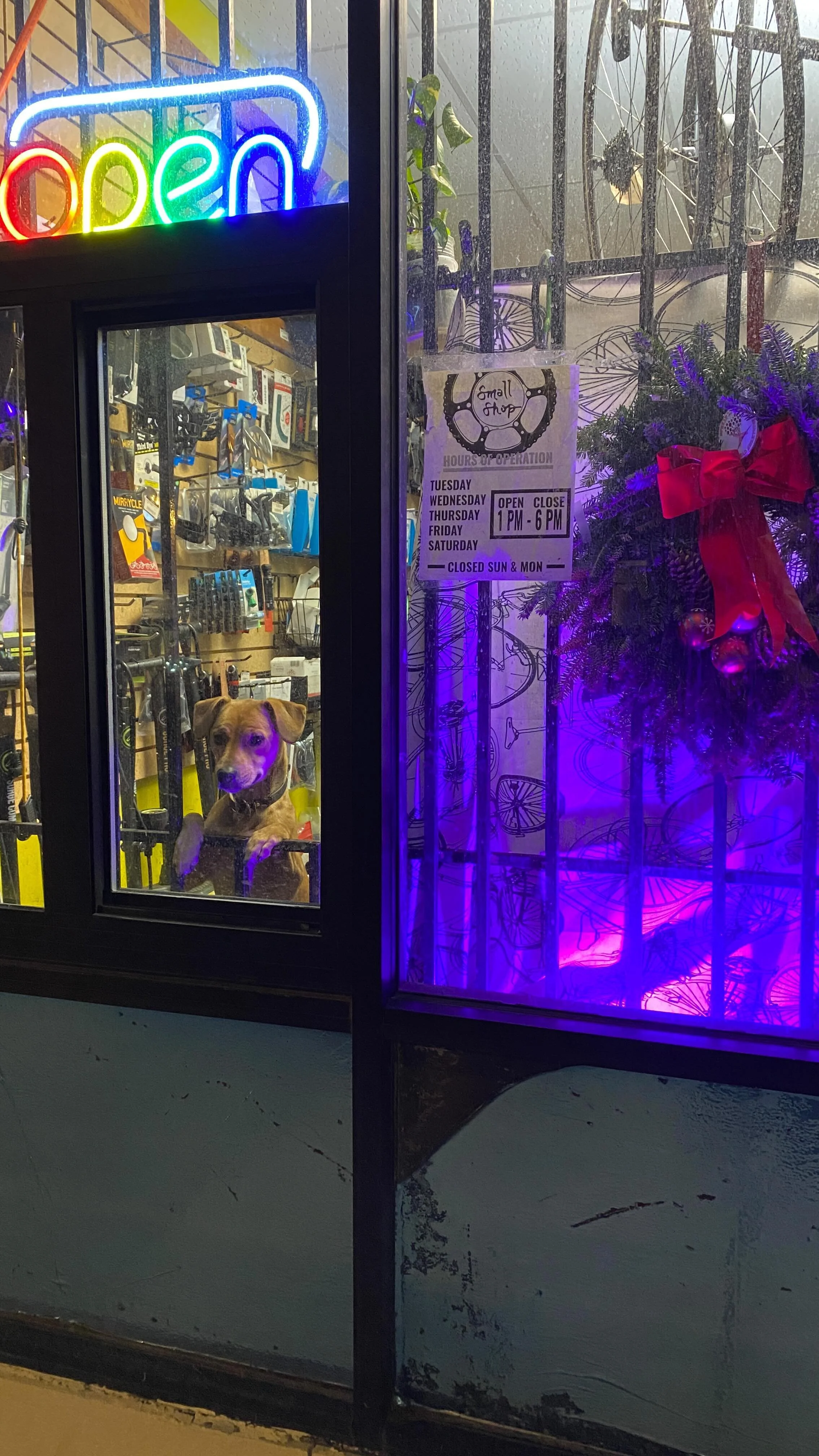 Small Shop Cycles & Service