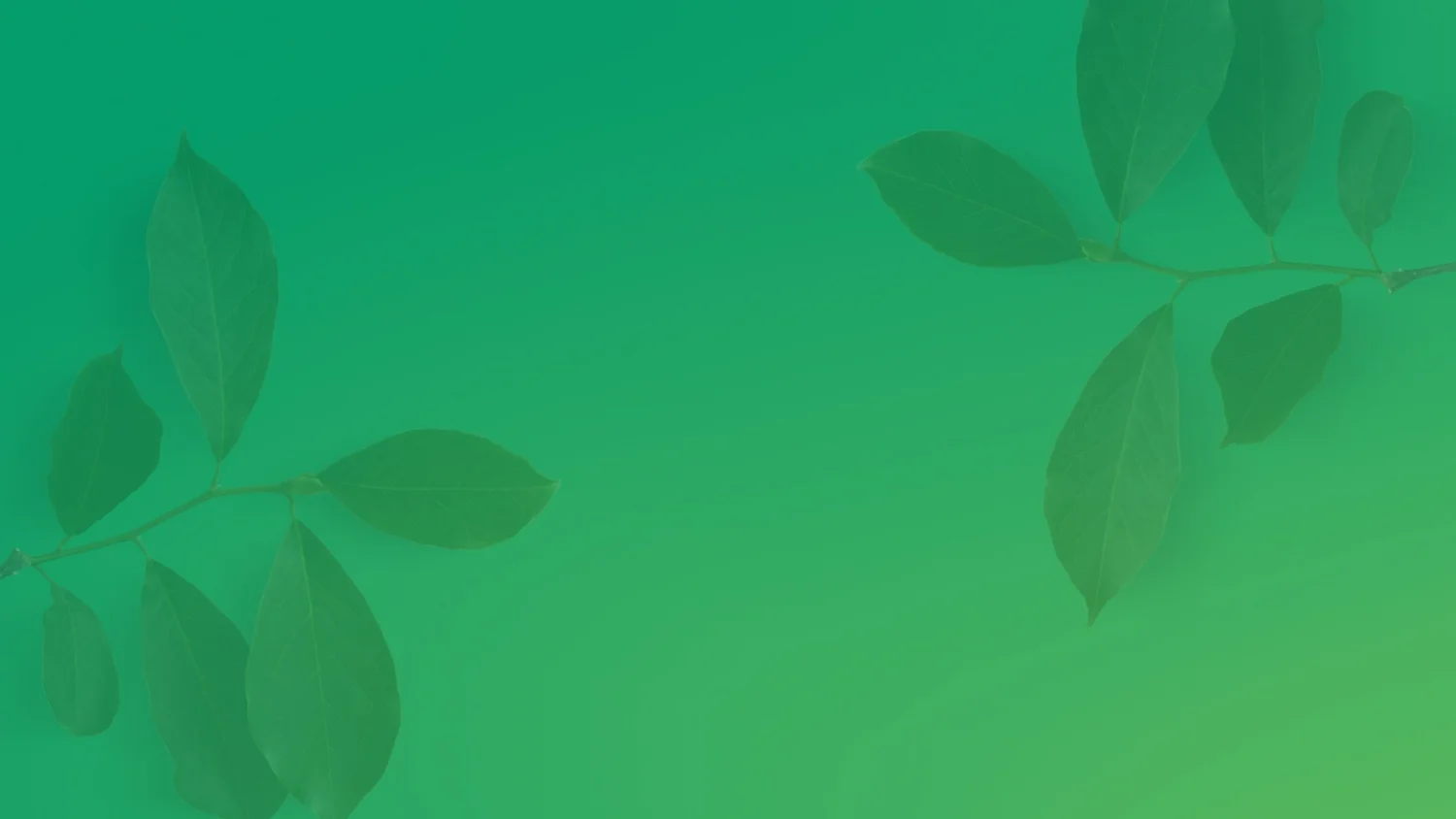 Fin Windows + Doors | Newcastle Aluminium Windows and Doors