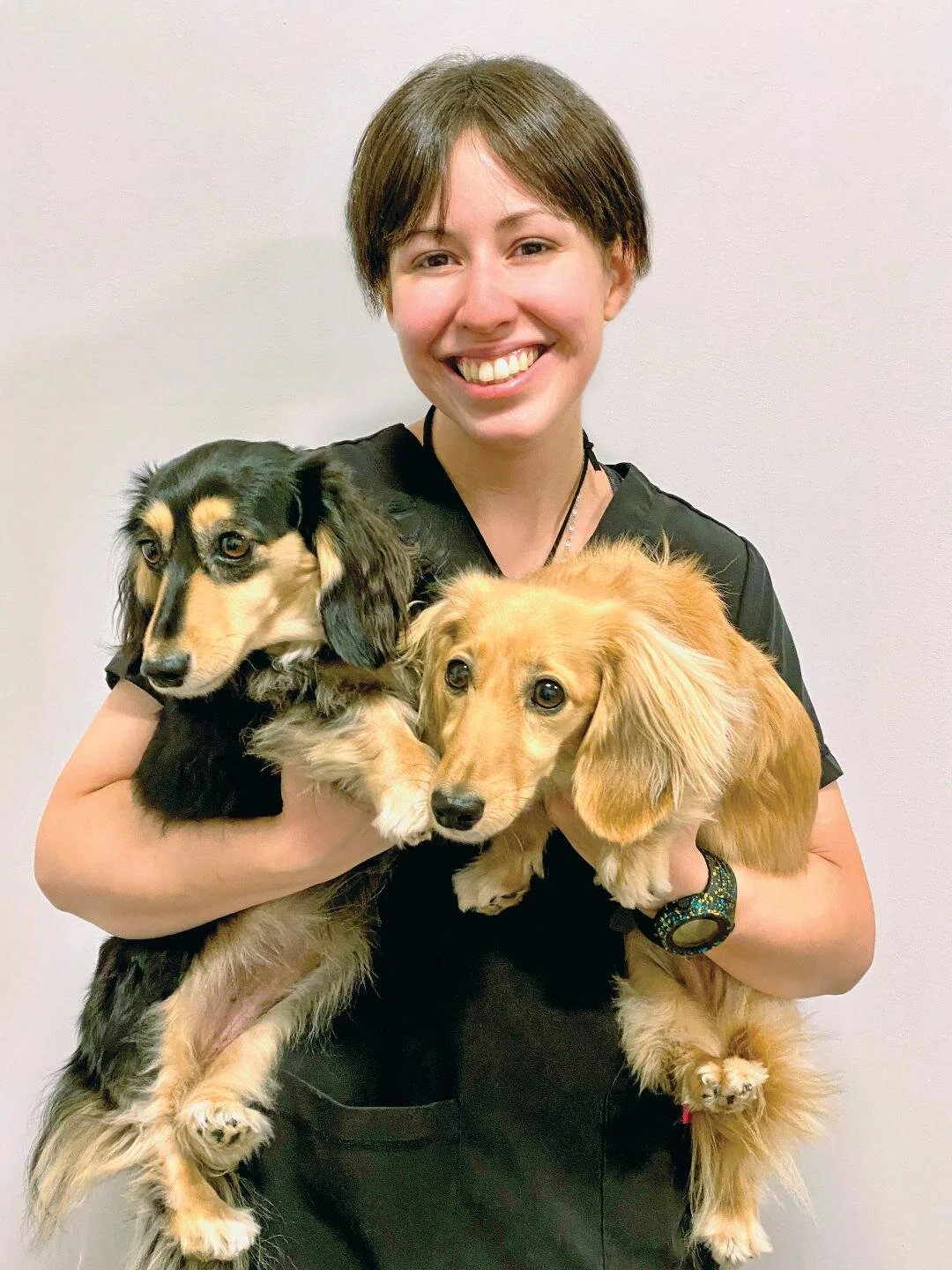 Who We Are — Hudson Valley Veterinary Dermatology