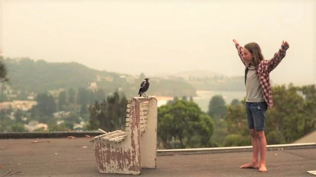 Penguin Bloom — FILM REVIEW