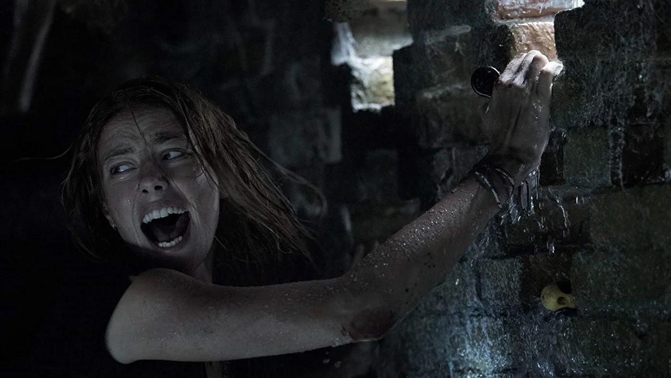 Crawl — FILM REVIEW
