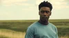 The Last Tree — FILM REVIEW