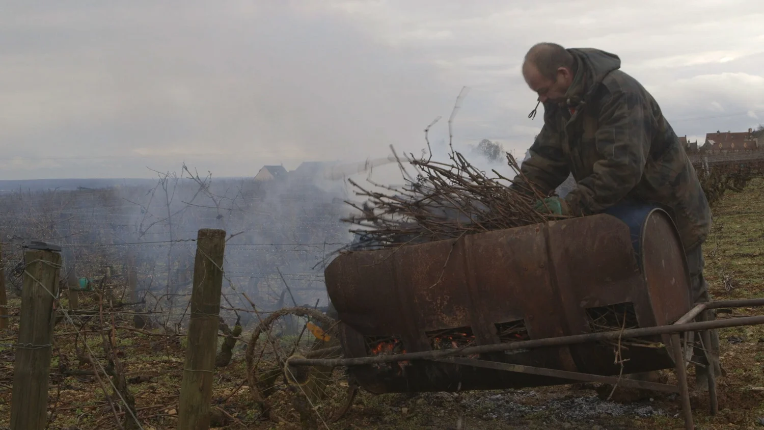 Sour Grapes — FILM REVIEW