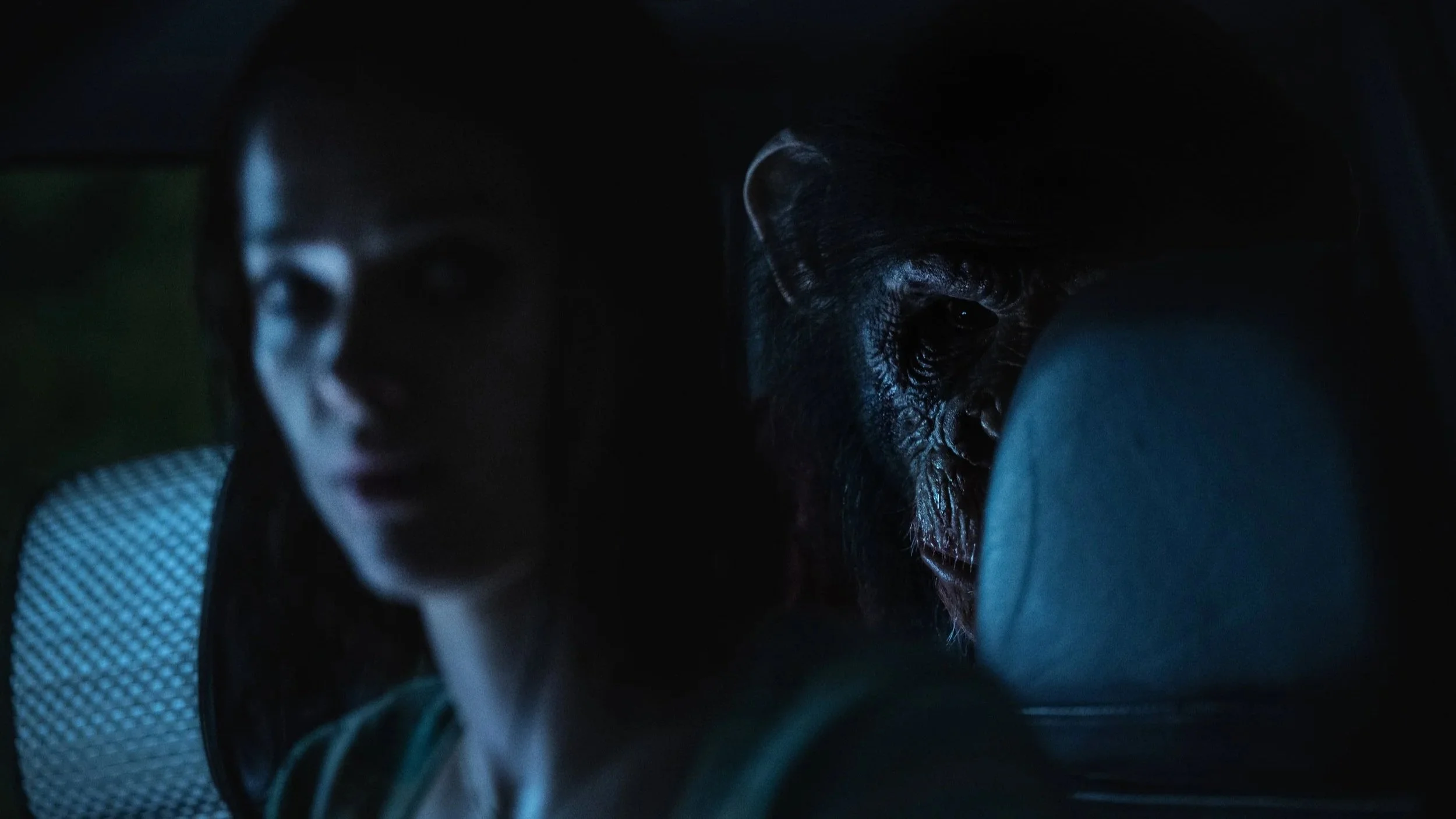 Primate — FILM REVIEW