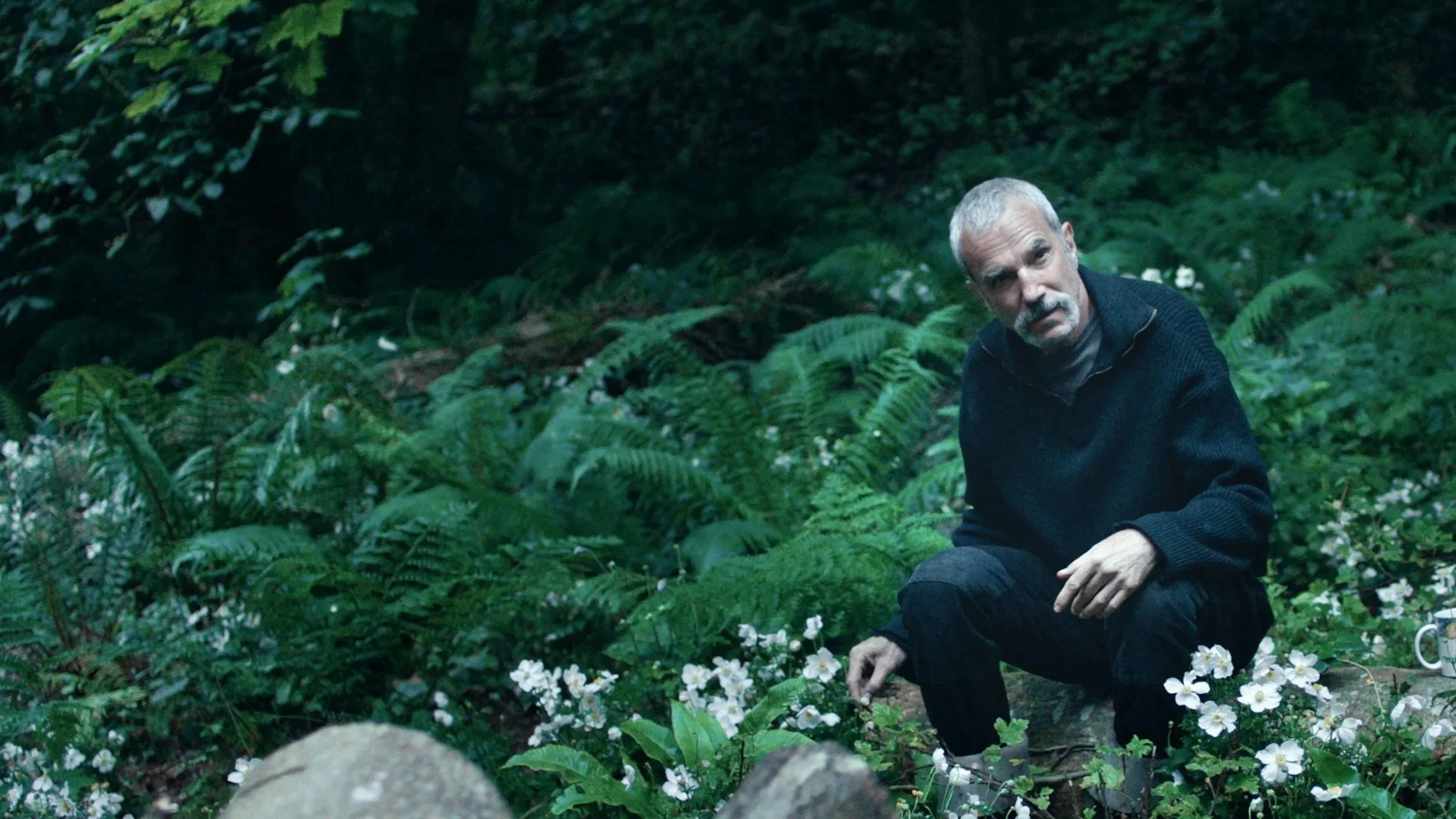Anemone — FILM REVIEW