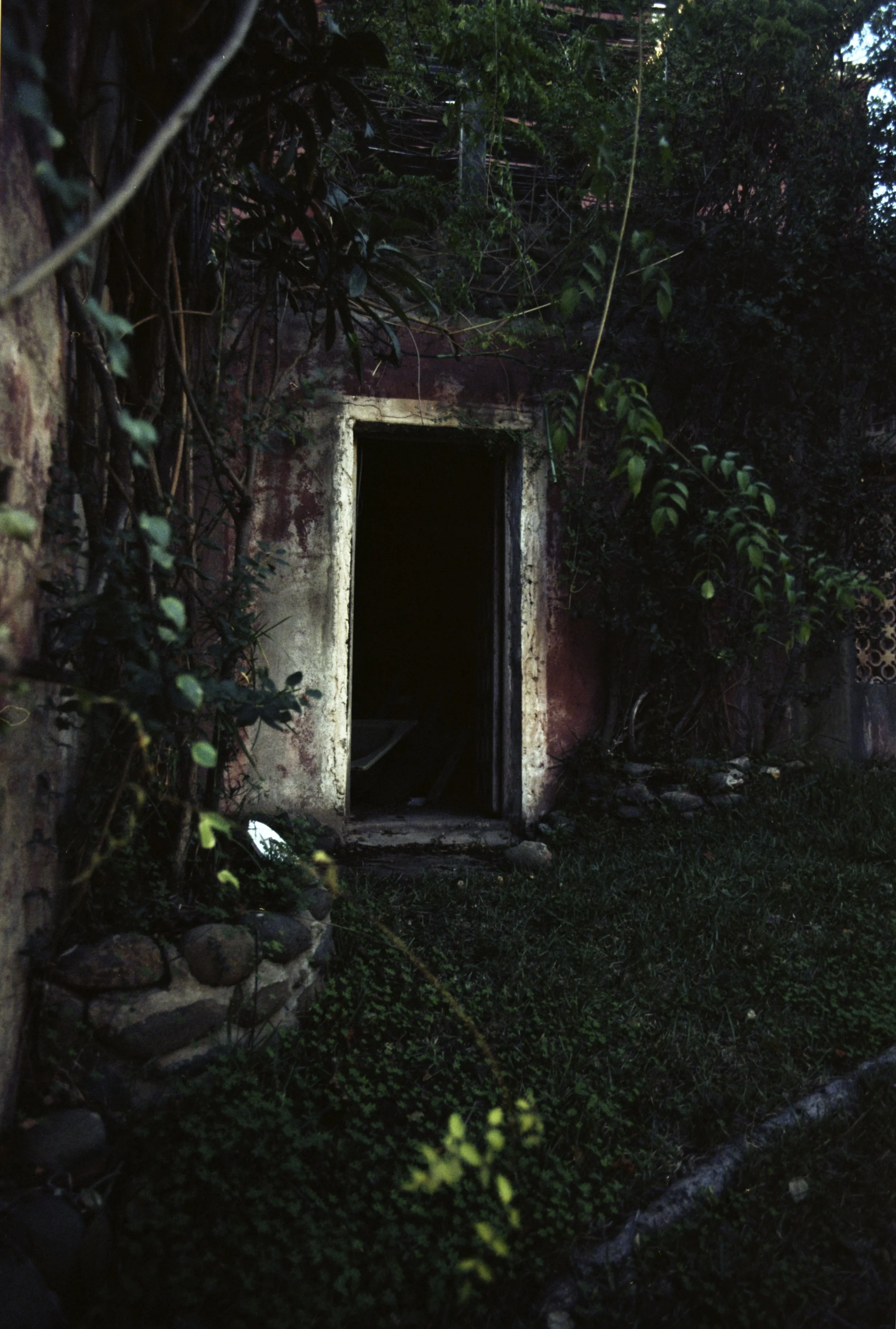 Evie Hall Photography