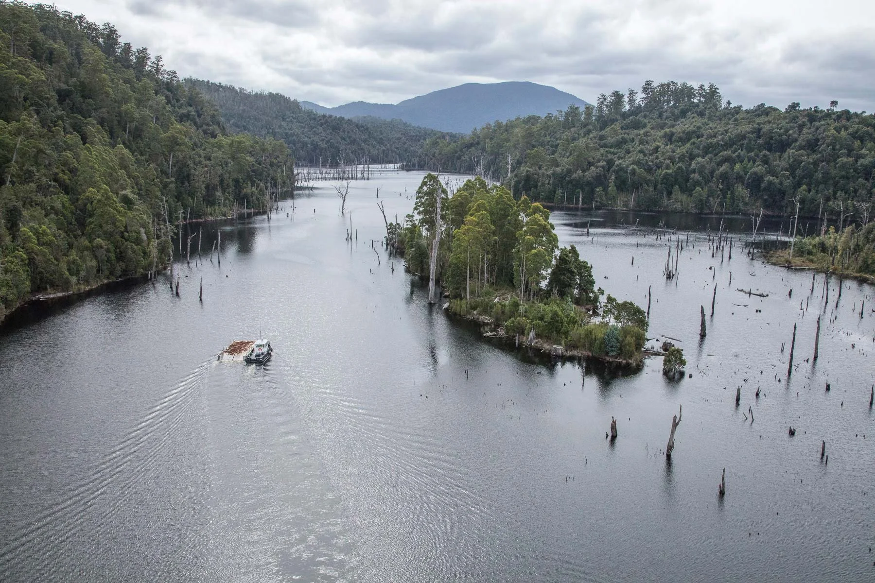 Reclaimed and sustainable timber