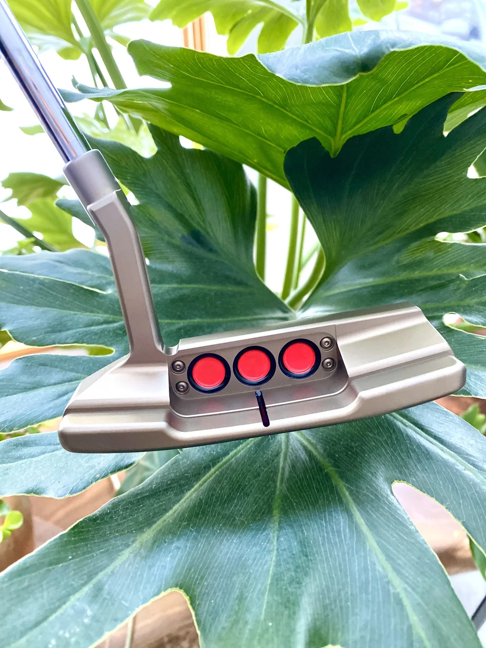 Store 1 — Mainely Putters