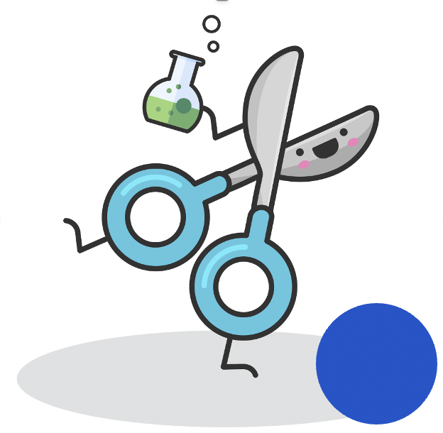 Perth Workshop Girls Programming Network