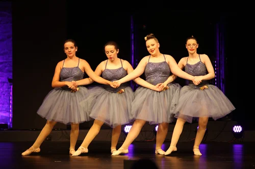 Homepage [www.praisehimdanceacademy.com]