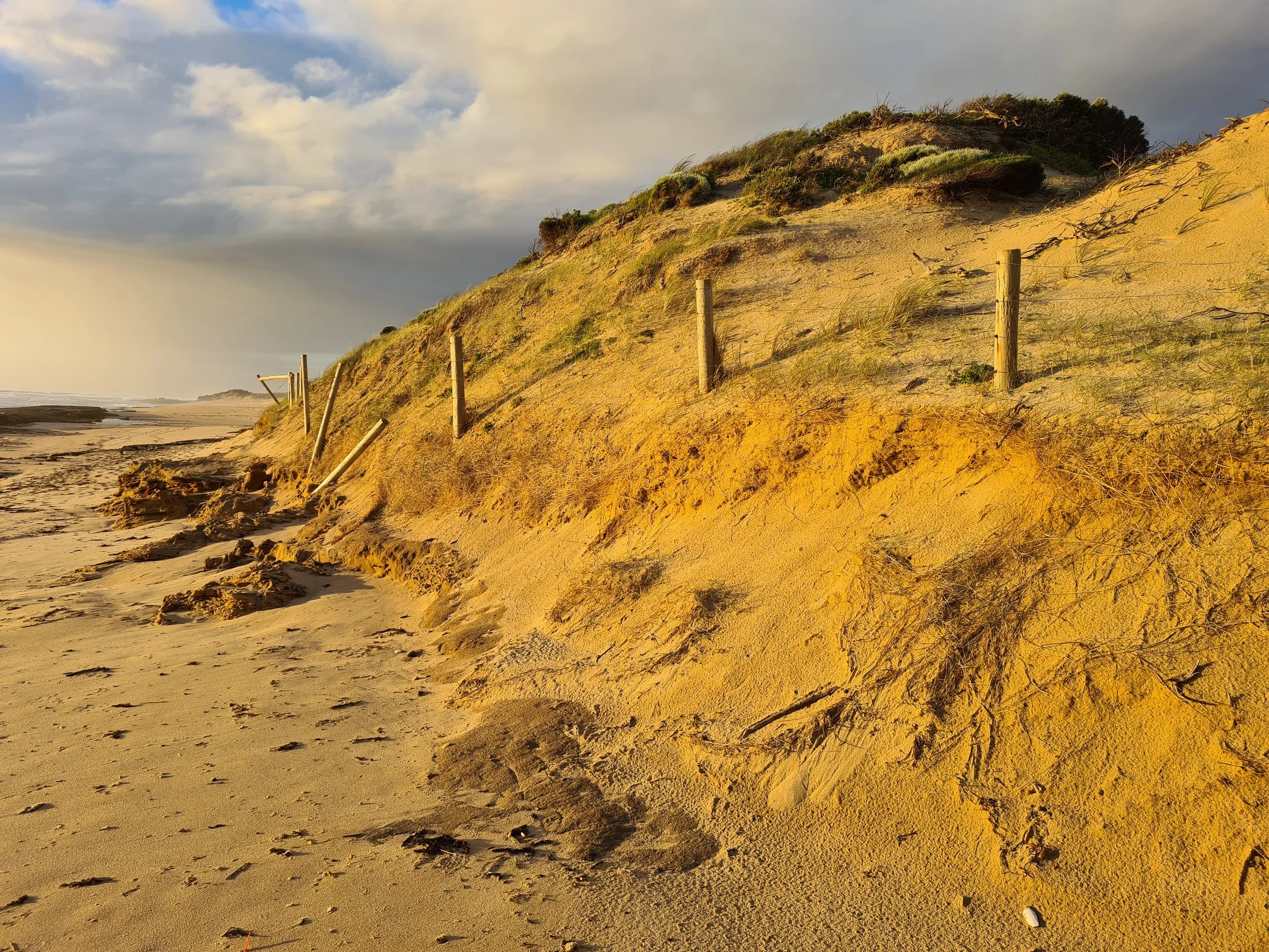 Buy Class — Studio Paradise